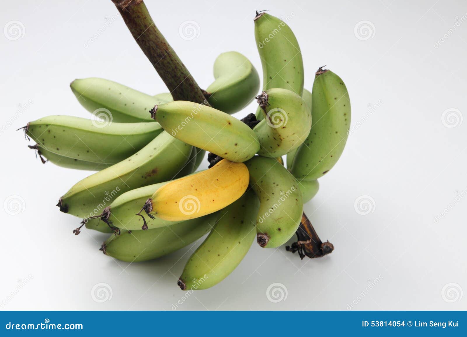 Real organic banana stock photo. Image of healthy, sweet - 53814054