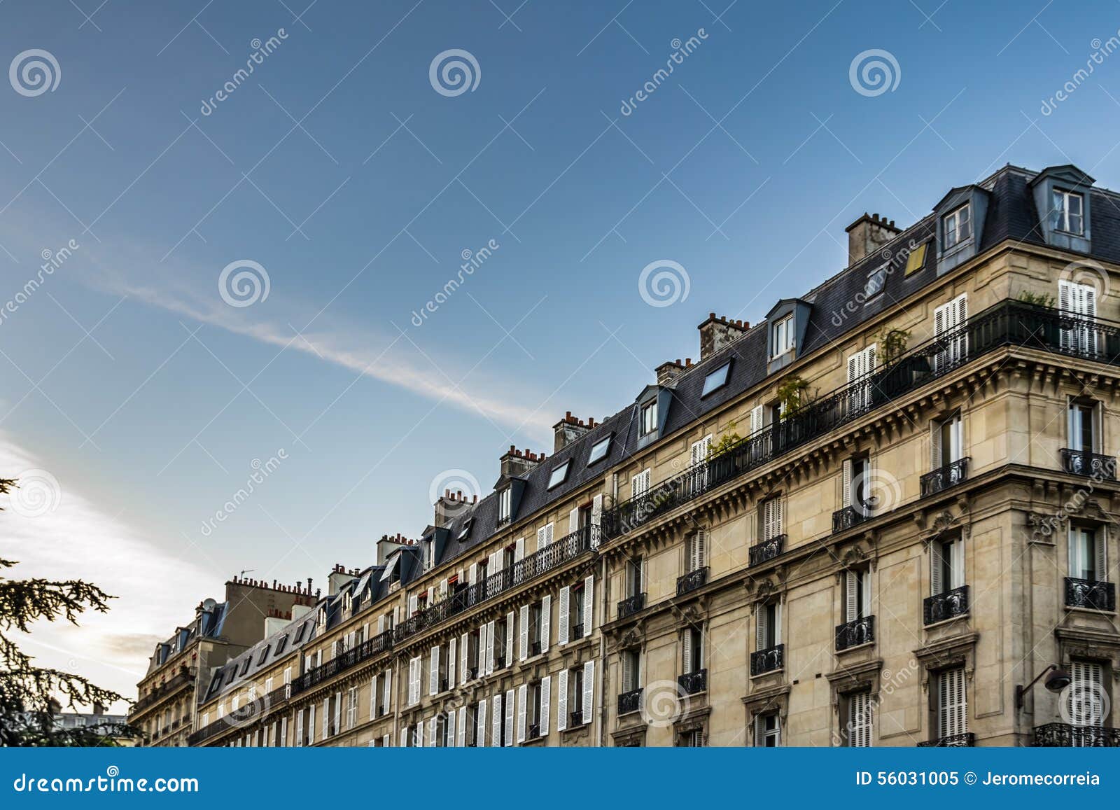 Real in Paris stock image. Image of bridge, night, construction - 56031005