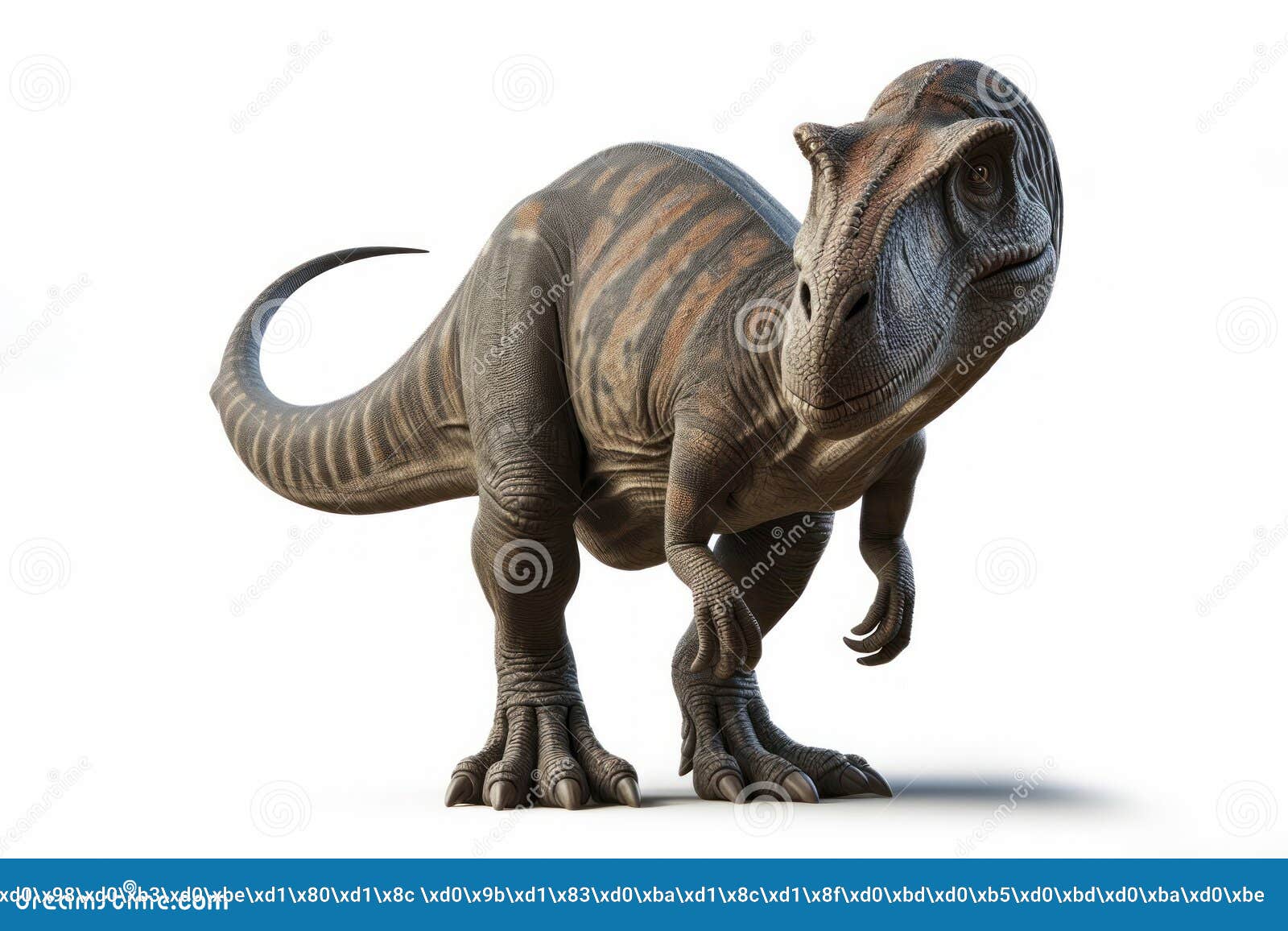 Real Photo of a Apatosaurus Isolated on Solid White Background. Ai ...