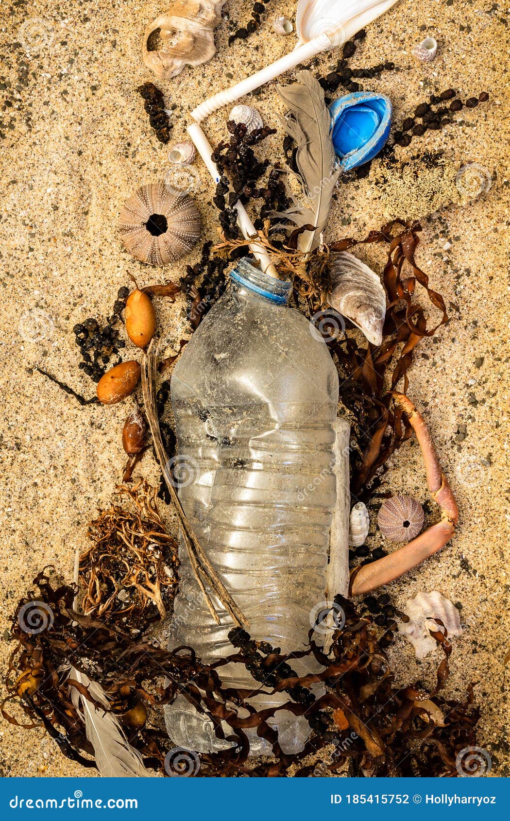 Real Plastic Pollution Washed Up On Beach Mixed With Seaweed Shells And ...
