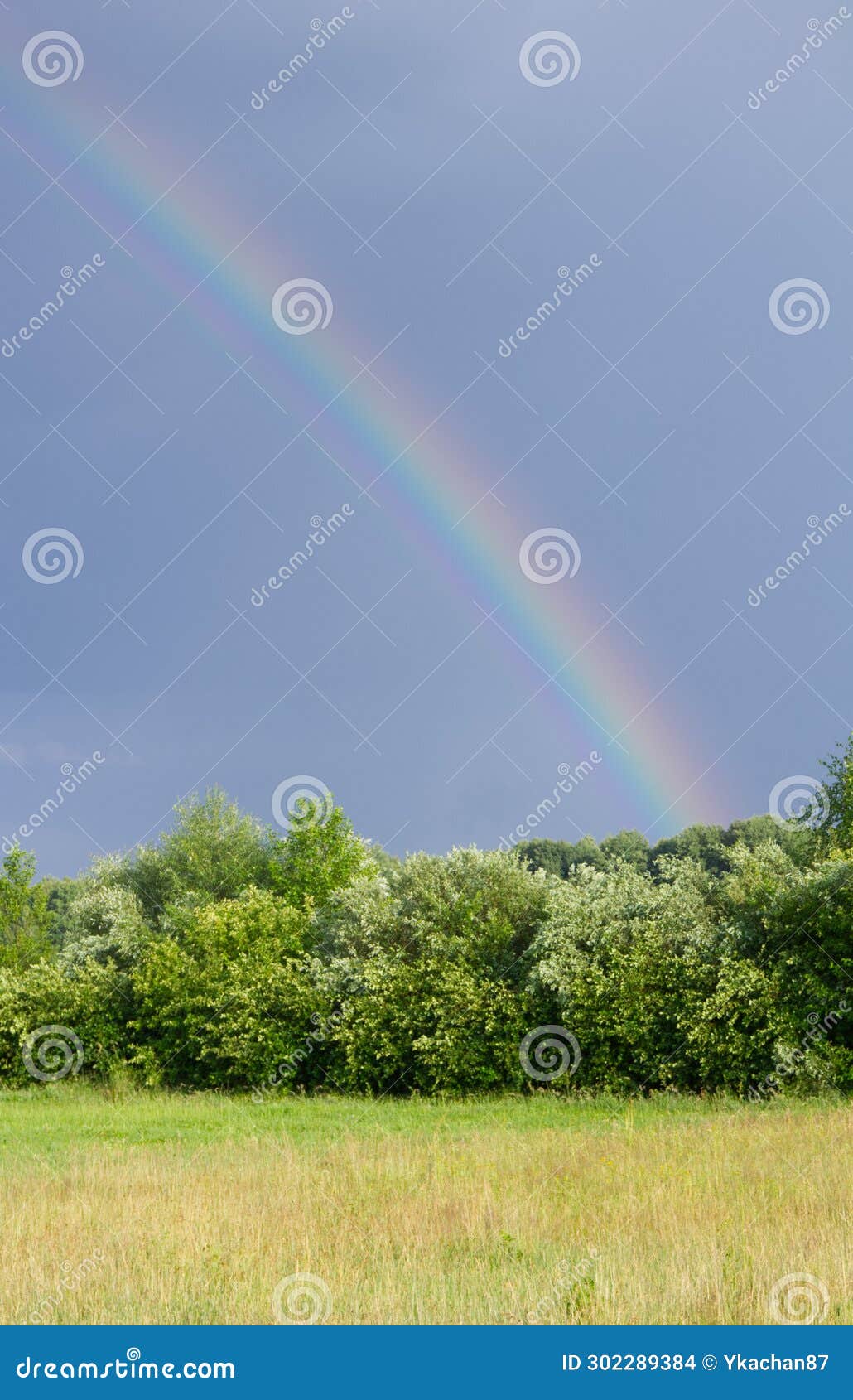 Real Rainbow in Dark Sky. Countryside Landscape with Fields and Trees ...