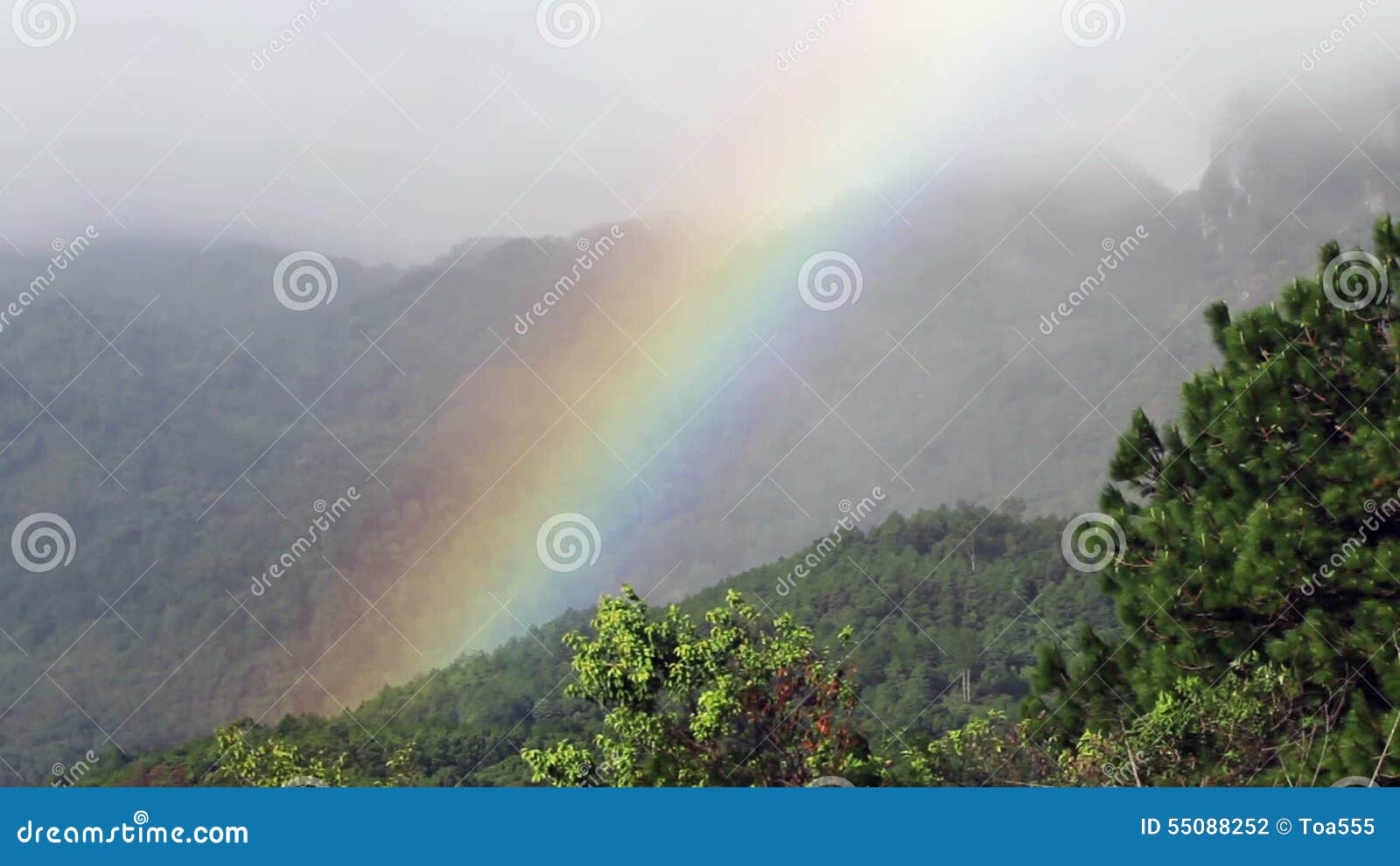 Real Rainbow on Tropical Forest Stock Footage - Video of colourful ...