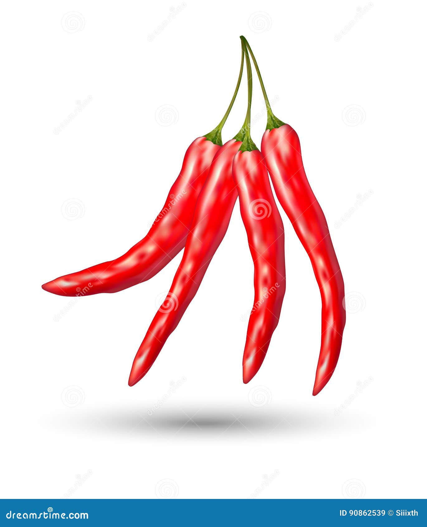 Real Red Chilli on a White Background Stock Vector - Illustration of ...