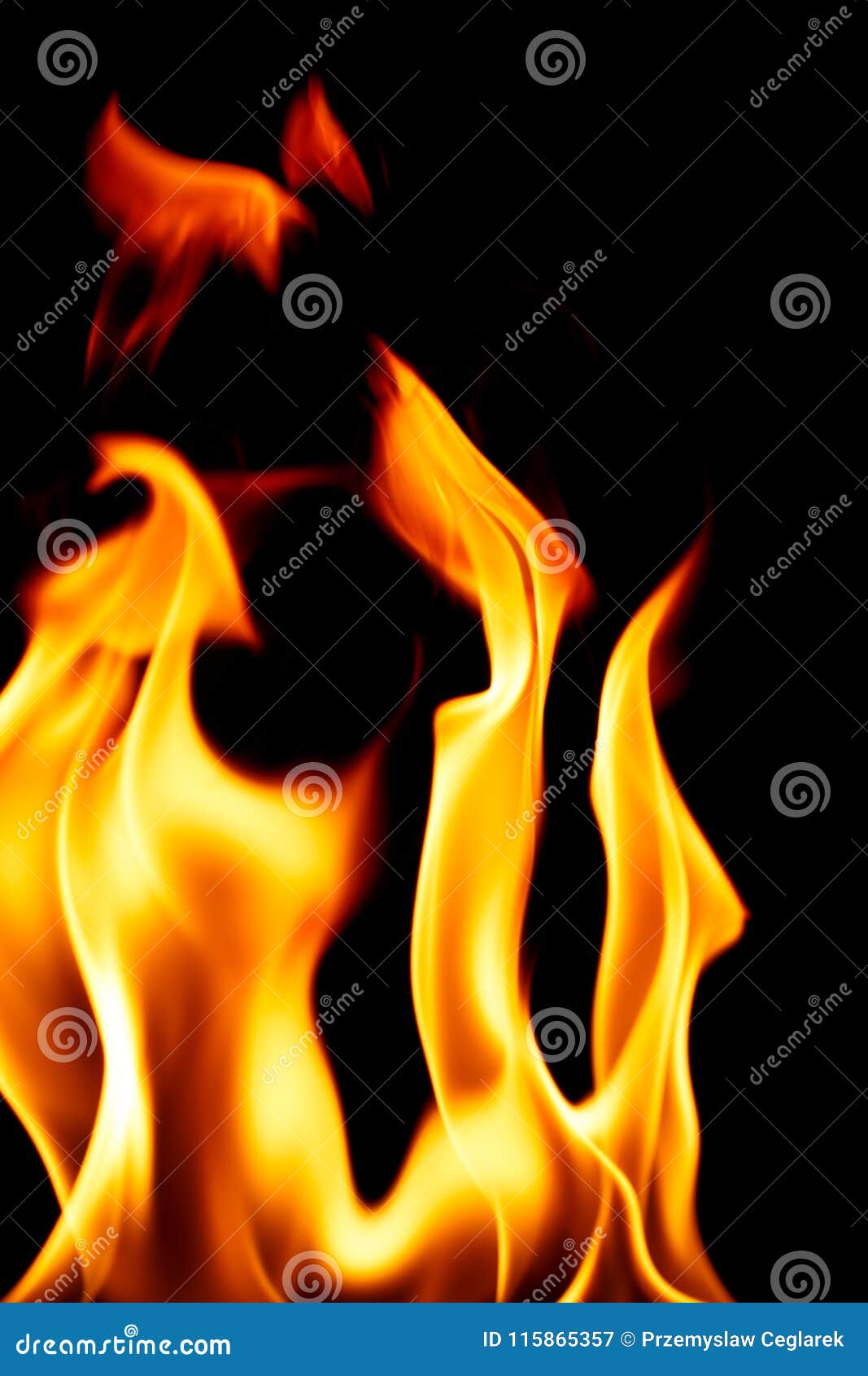 Real flame - fire. stock image. Image of orange, inferno - 115865357