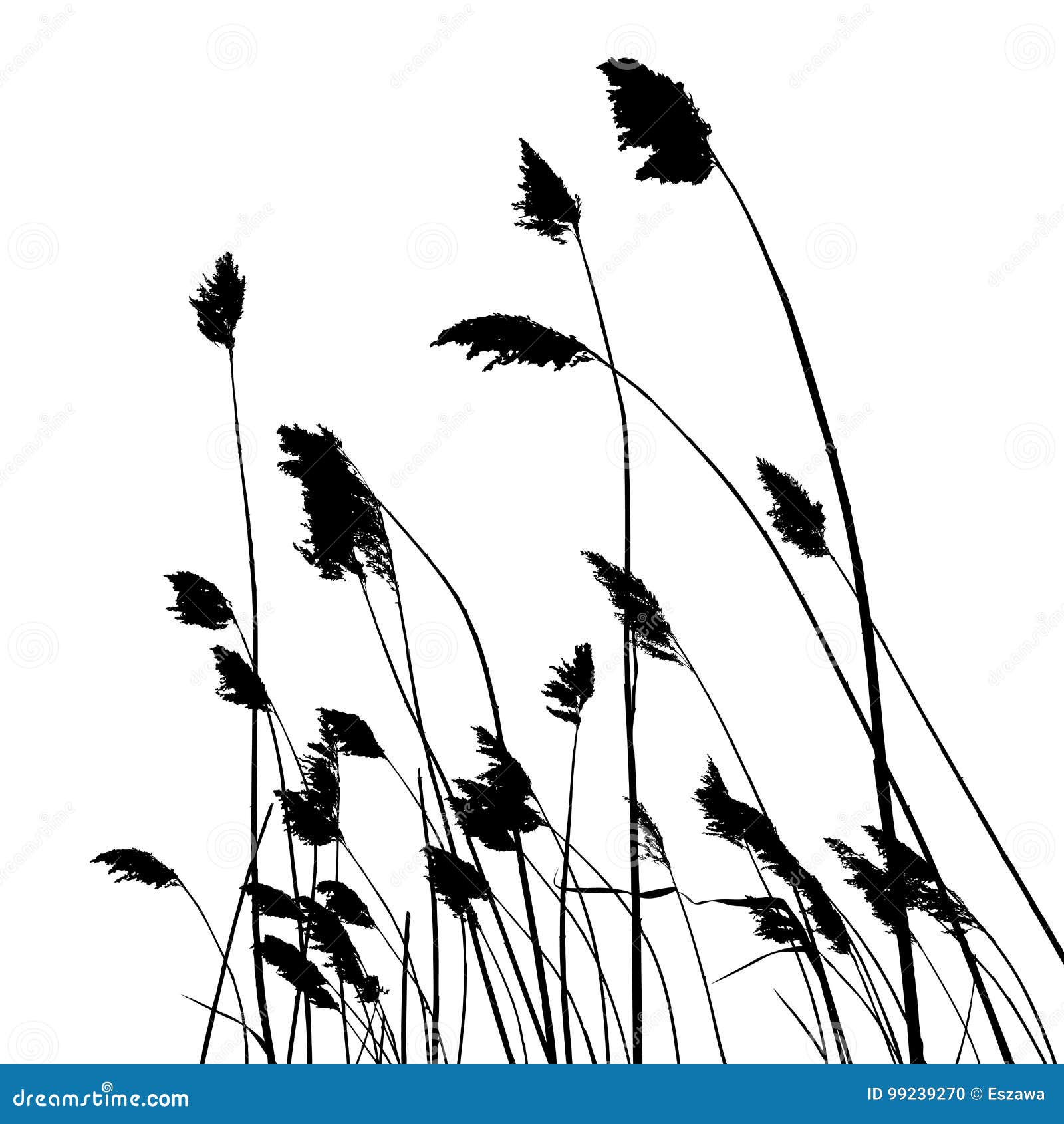 Reed Silhouette Set. Vector Illustration Isolated On White. Plants On ...