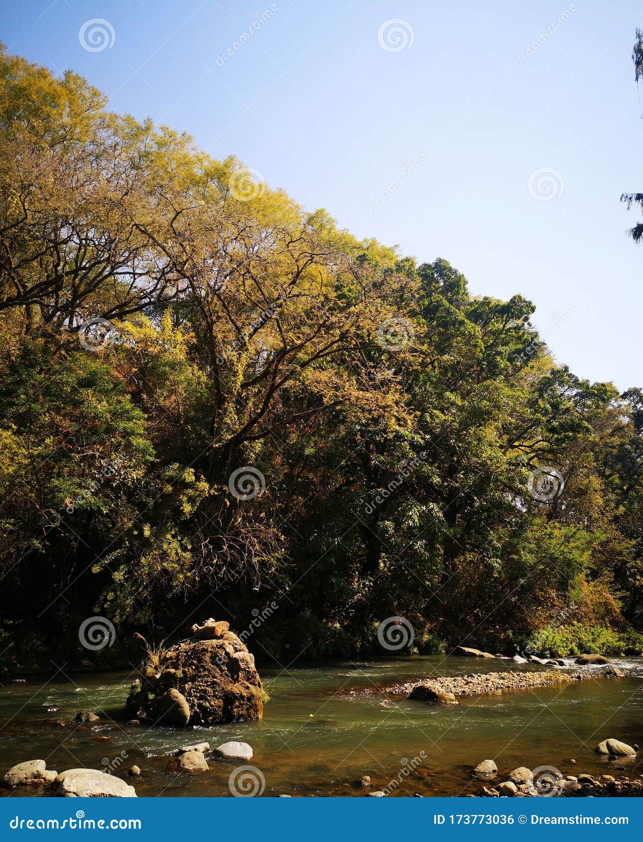 Real relaxing environment stock photo. Image of somwhere - 173773036