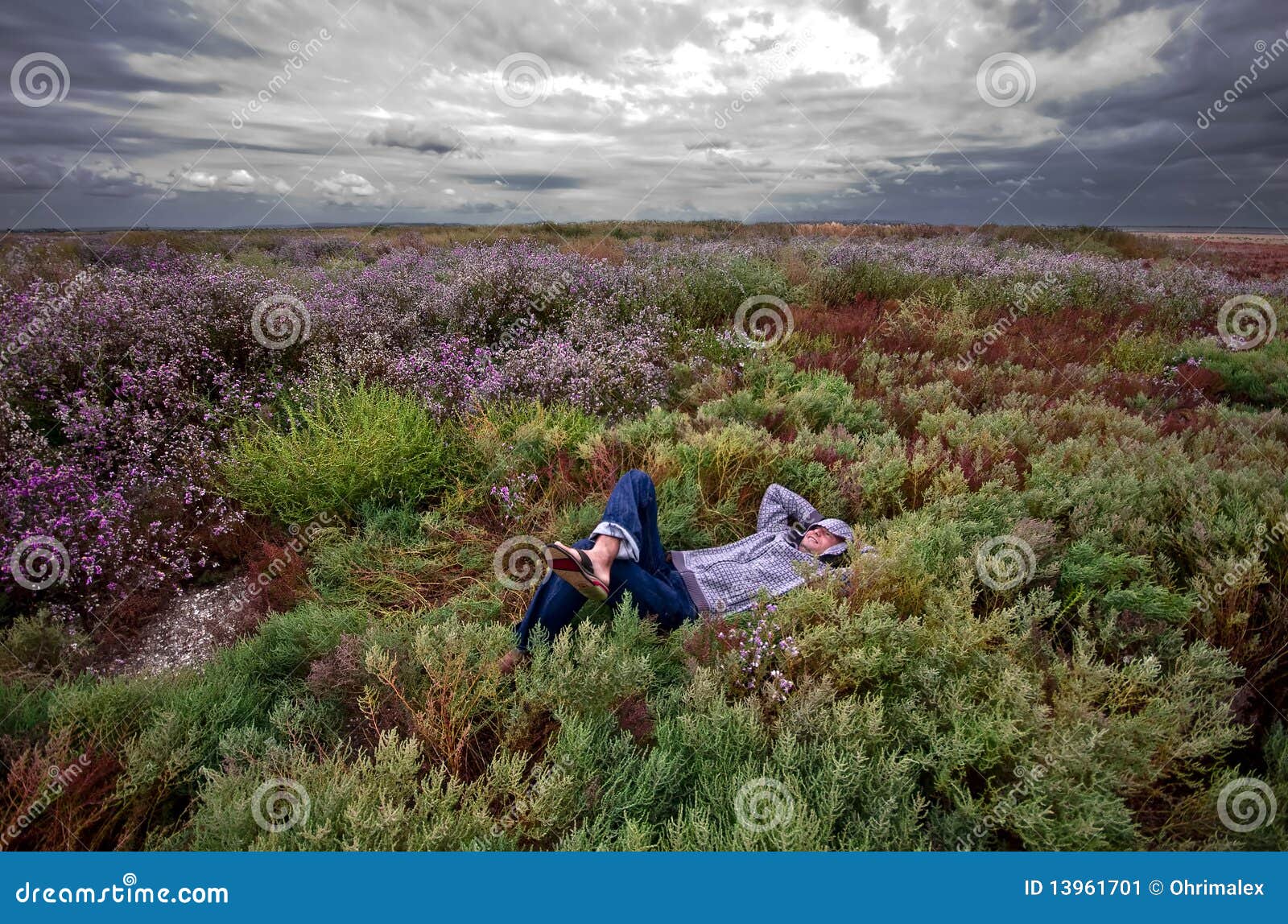 The real rest stock image. Image of beautiful, outdoors - 13961701