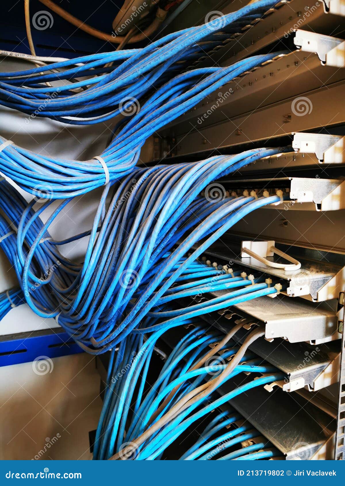Real rj45 switch texture stock photo. Image of network - 213719802