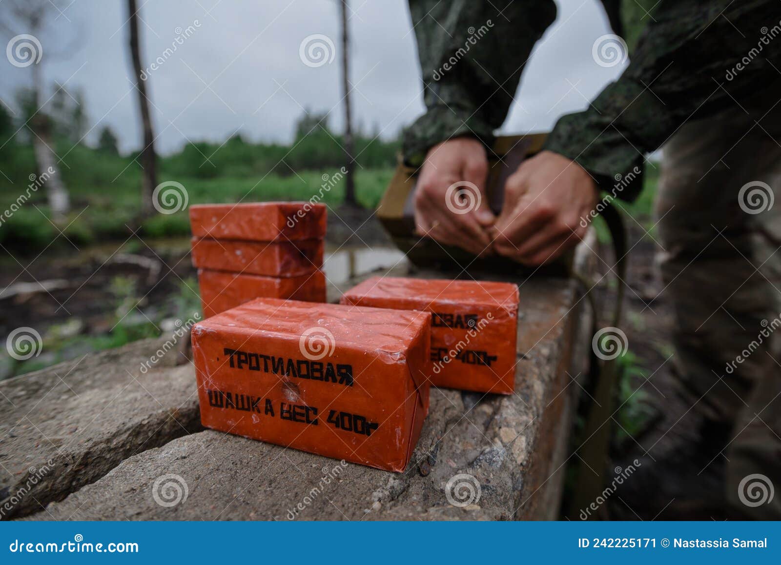Real Russian Trotyl Trinitrotoluol TNT Explosives in Hand Editorial ...