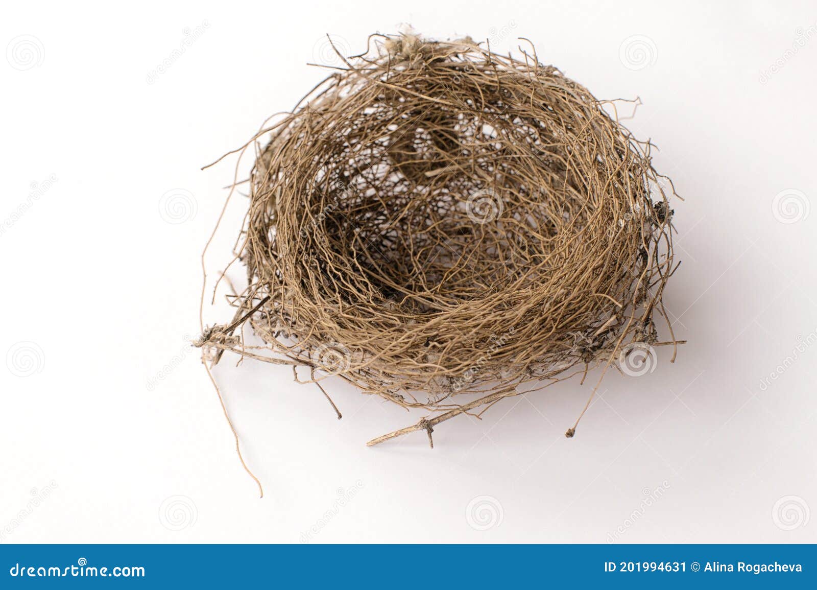 A real small bird nest stock image. Image of birds, farming - 201994631