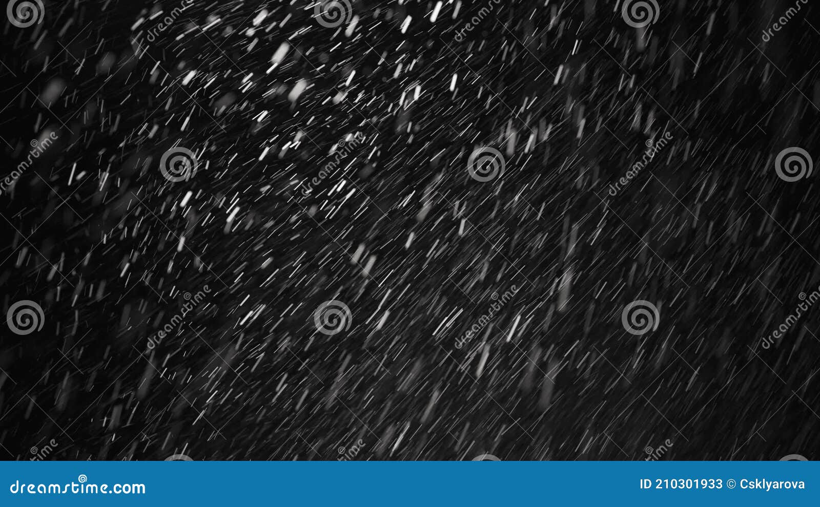 Real Snowfall, Winter Snow with Wind Influence on Black Background ...