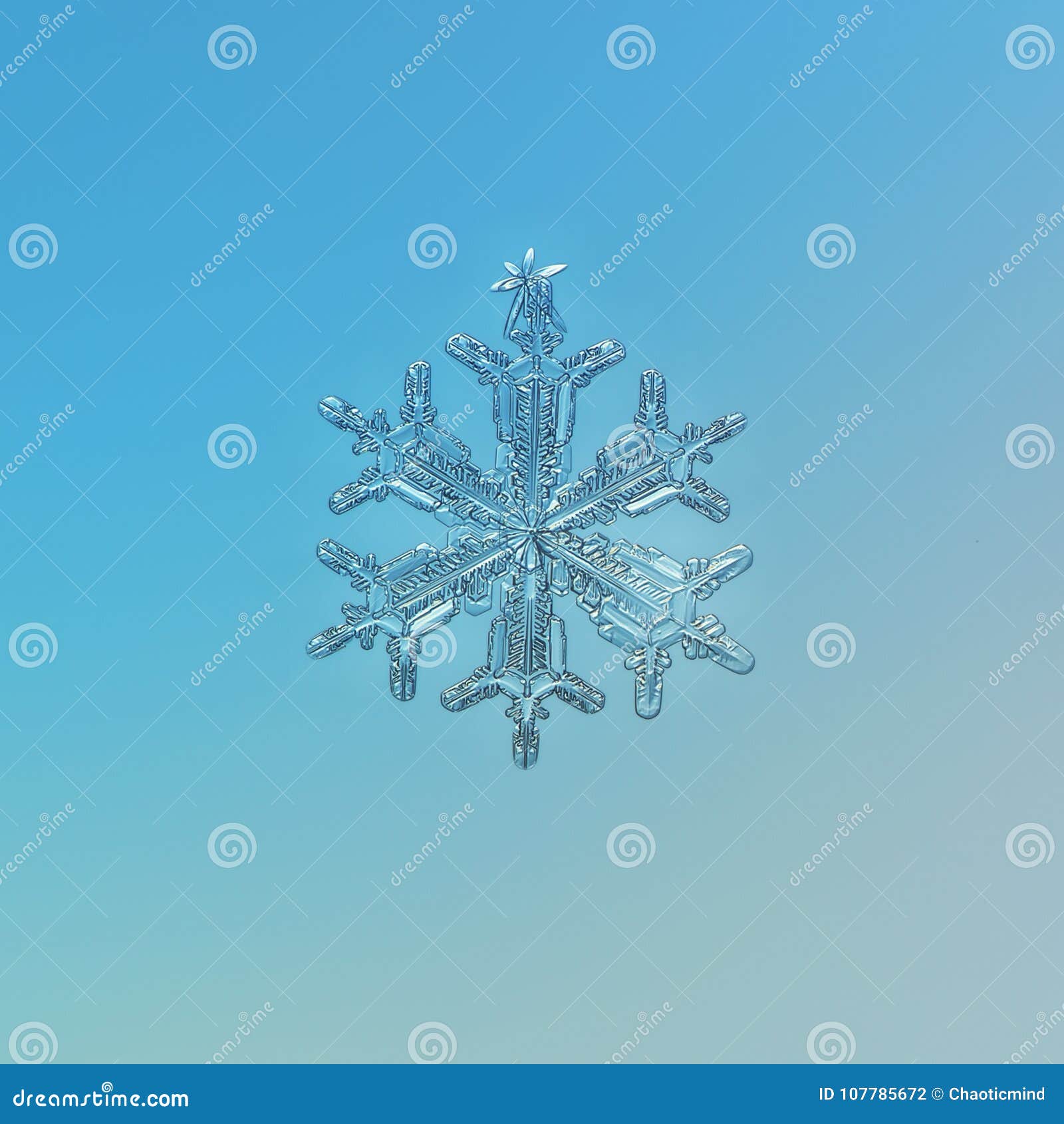 Real Snowflake Glittering on Smooth Gradient Background Stock Photo ...