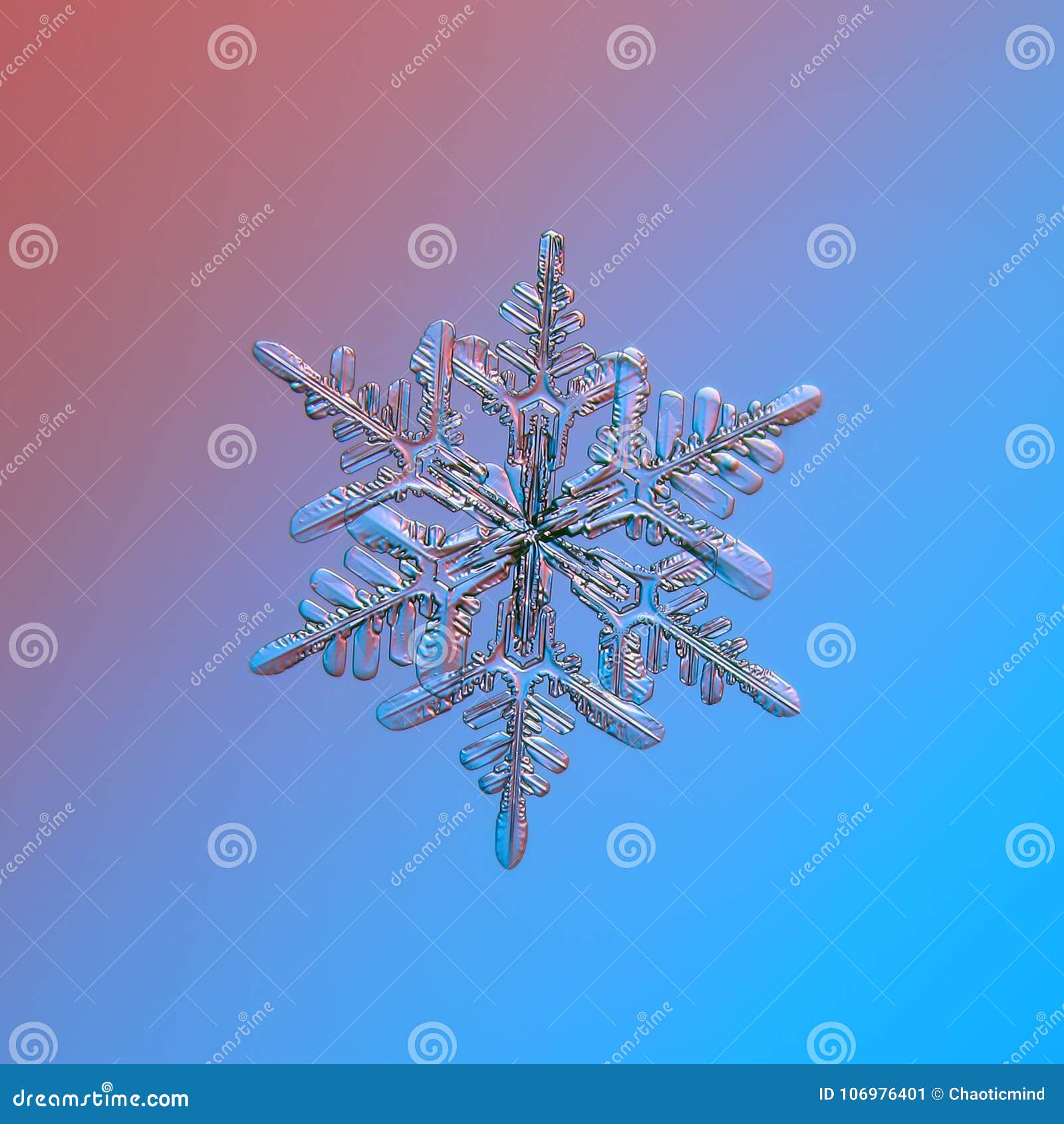 Real Snowflake Glittering on Smooth Gradient Background Stock Image ...