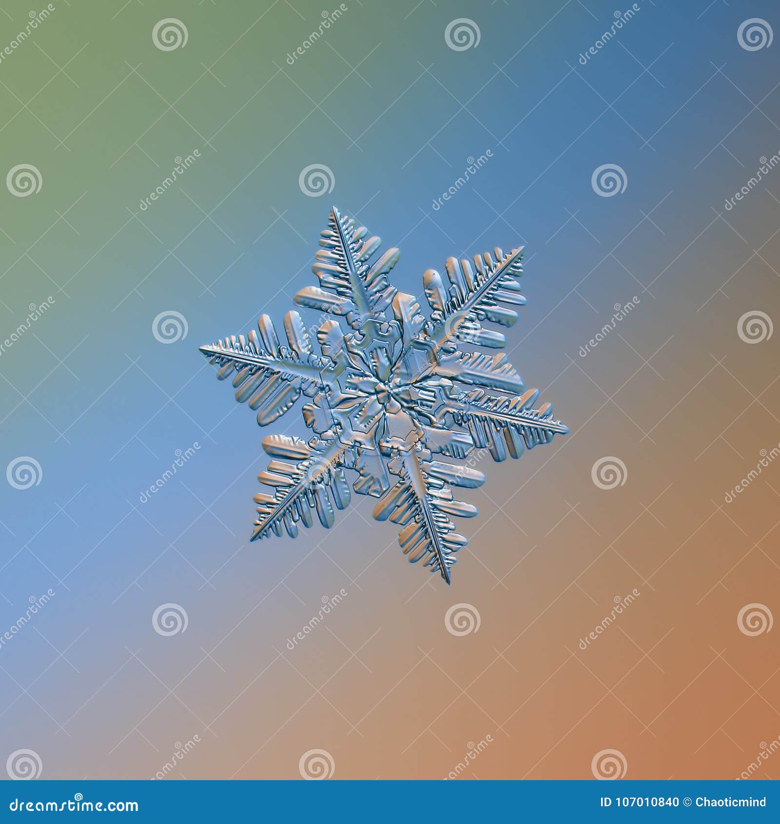 Real Snowflake Glittering on Smooth Gradient Background Stock Photo ...