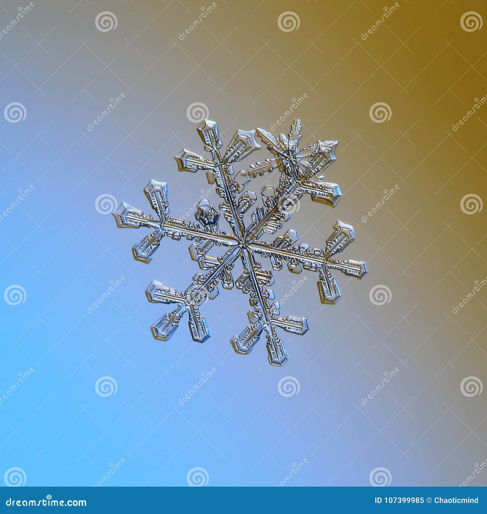 Real Snowflake Glittering on Smooth Gradient Background Stock Image ...