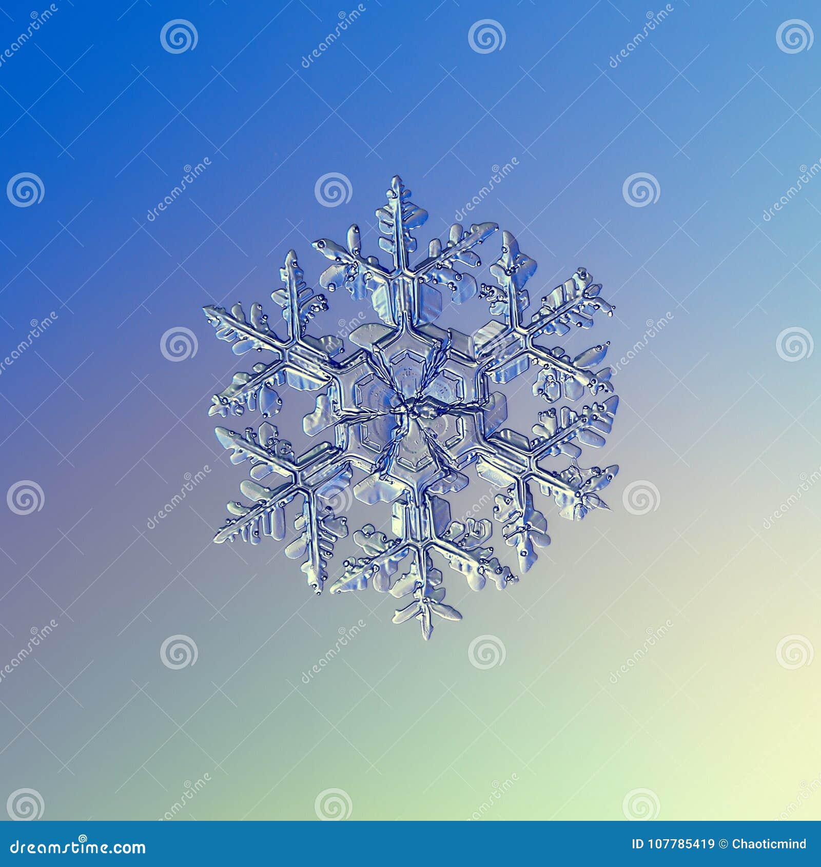 Real Snowflake Glittering on Smooth Gradient Background Stock Image ...