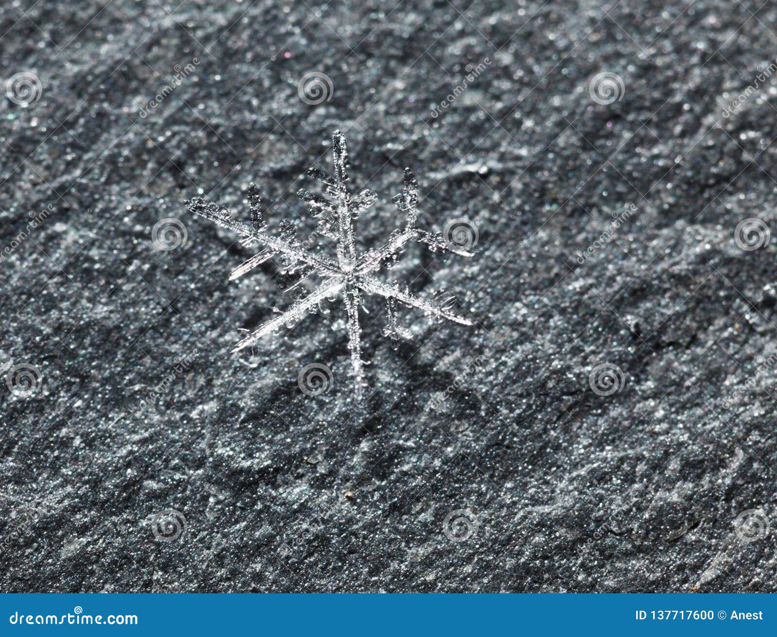 Real Snowflake on Grey Stone Surface Stock Photo - Image of crystal ...