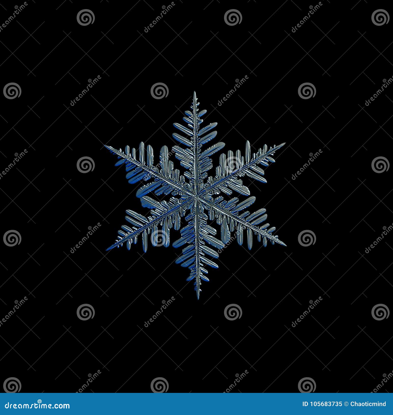 Real Snowflake Isolated on Black Background Stock Image - Image of ...