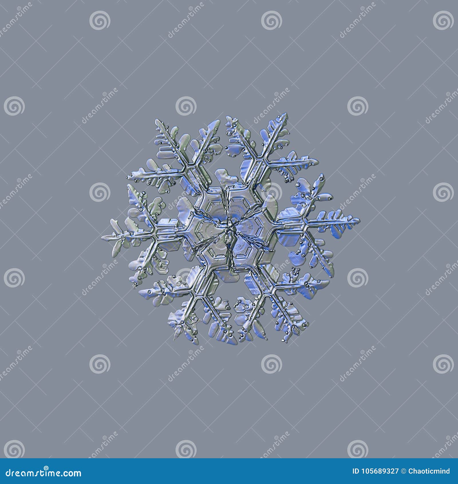 Real Snowflake Isolated on Uniform Gray Background Stock Illustration ...