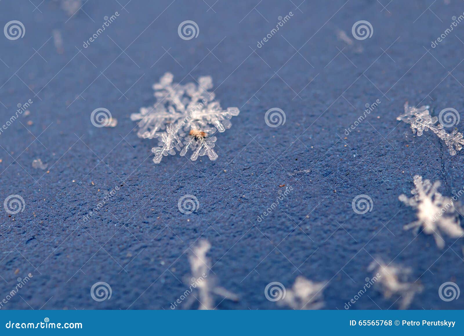 Real Snowflake Isolated On White Background Royalty-Free Stock ...