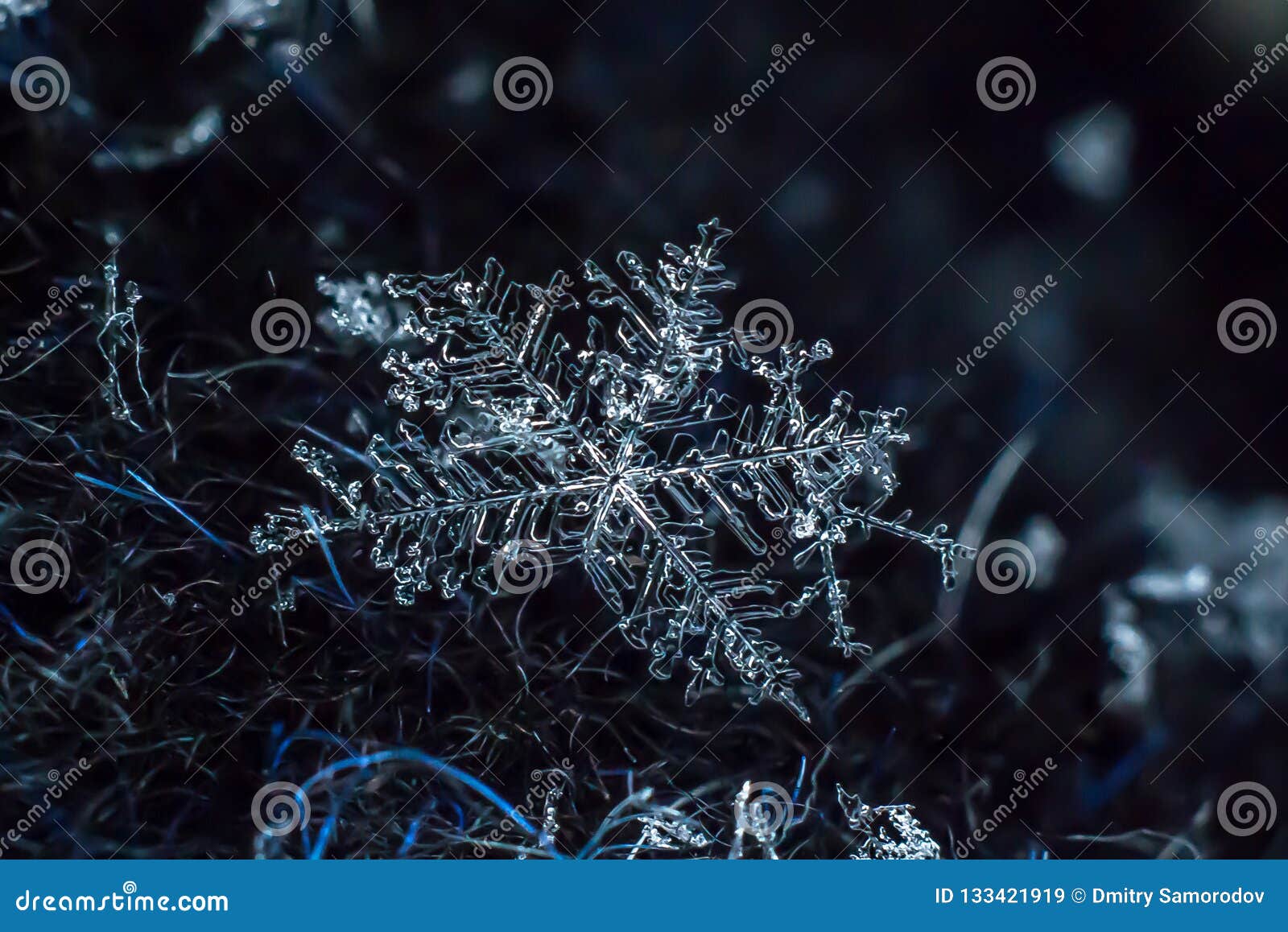 Snowflake Natural Macro Closeup Shot Stock Image - Image of natural ...