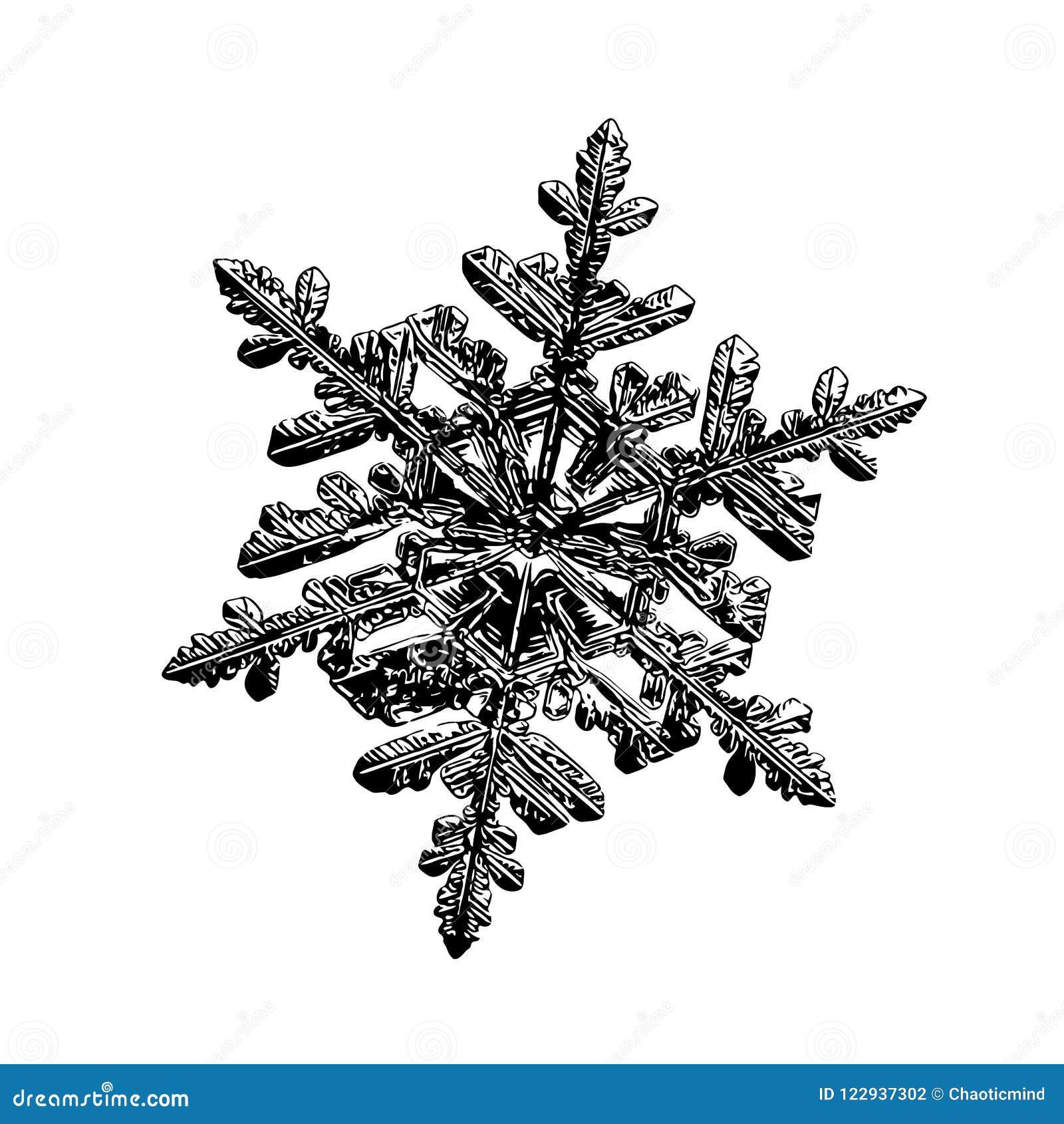 Real Snowflake On White Background Royalty-Free Illustration ...