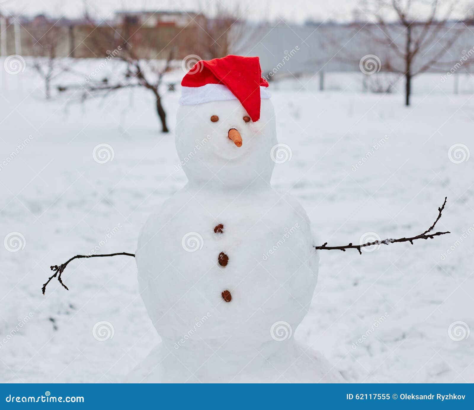 Real snowman outdoors stock image. Image of december - 62117555