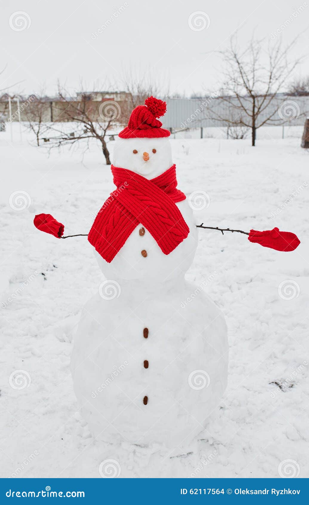 Real snowman outdoors stock photo. Image of playful, closeup - 62117564