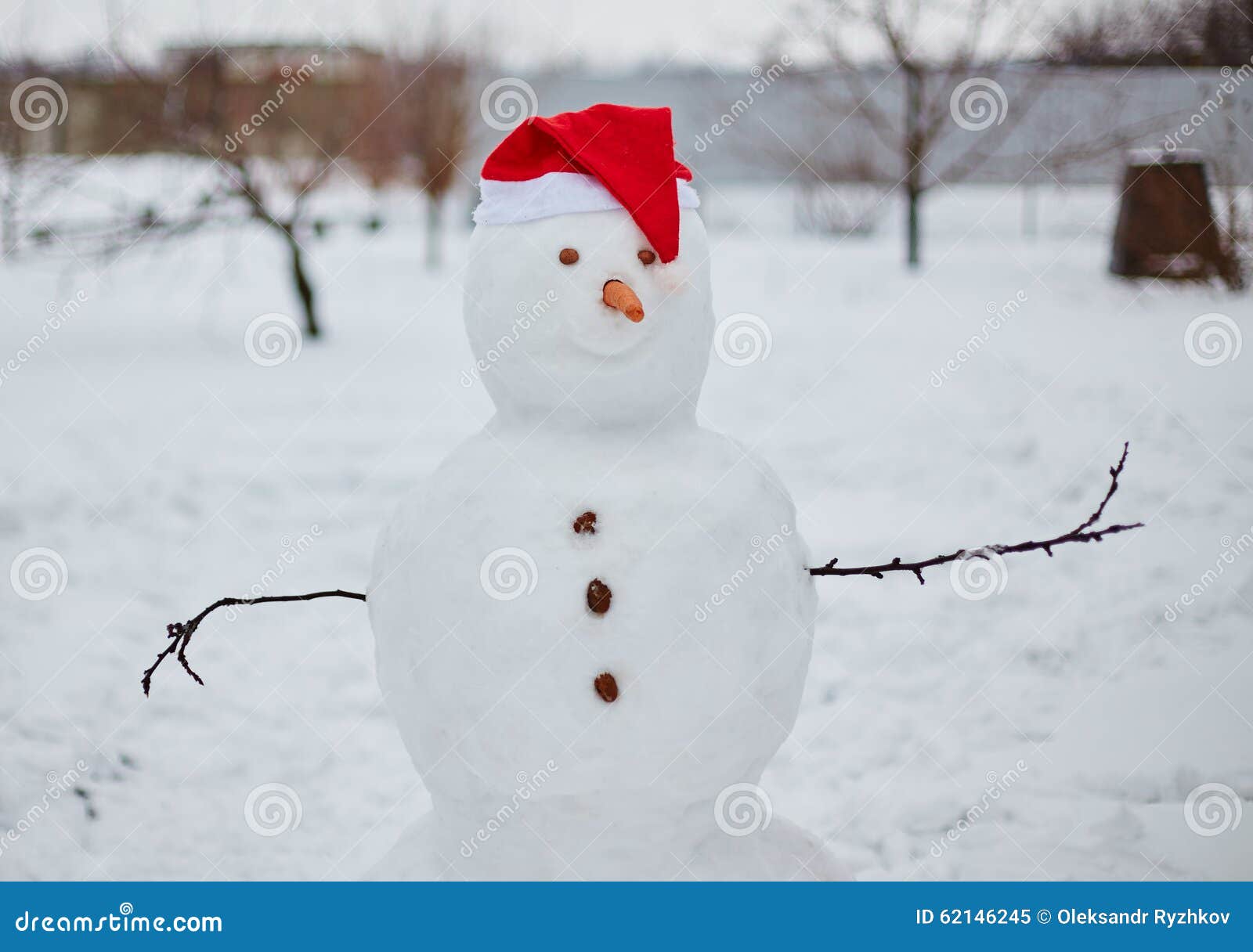Real snowman outdoors stock image. Image of buttons, leisure - 62146245