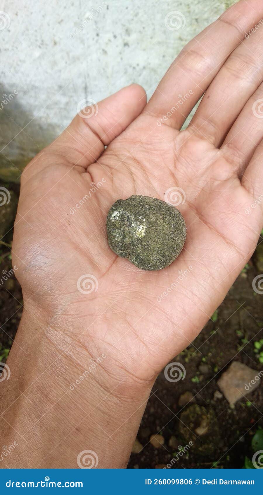 Real stone in hand photo stock photo. Image of organ - 260099806