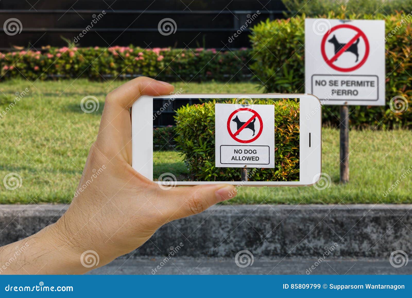 Real Time Language Translation Augmented Reality, AR, App Concept Using ...