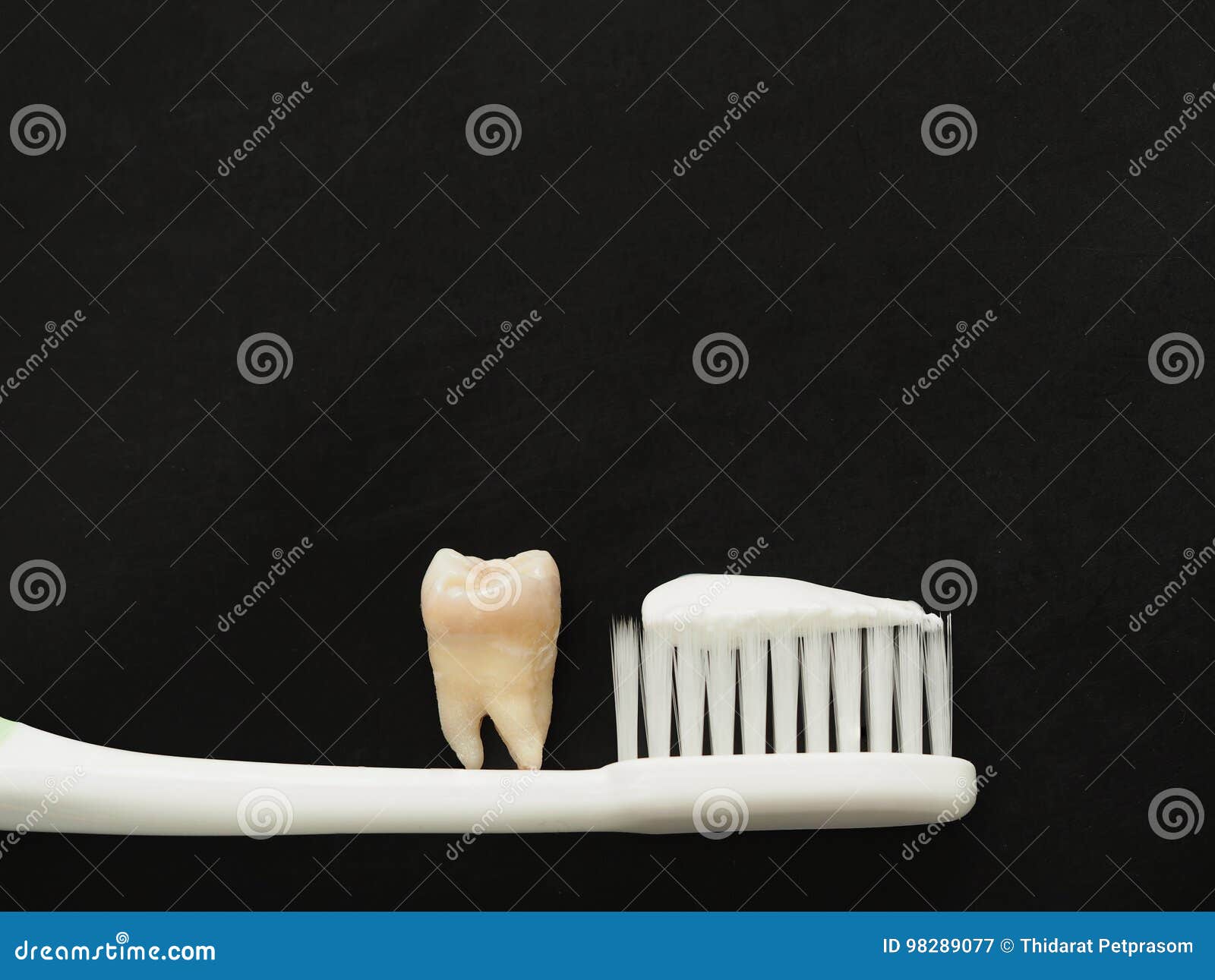 Real Tooth And White Toothbrush On Black Background. Good Healthy Teeth ...