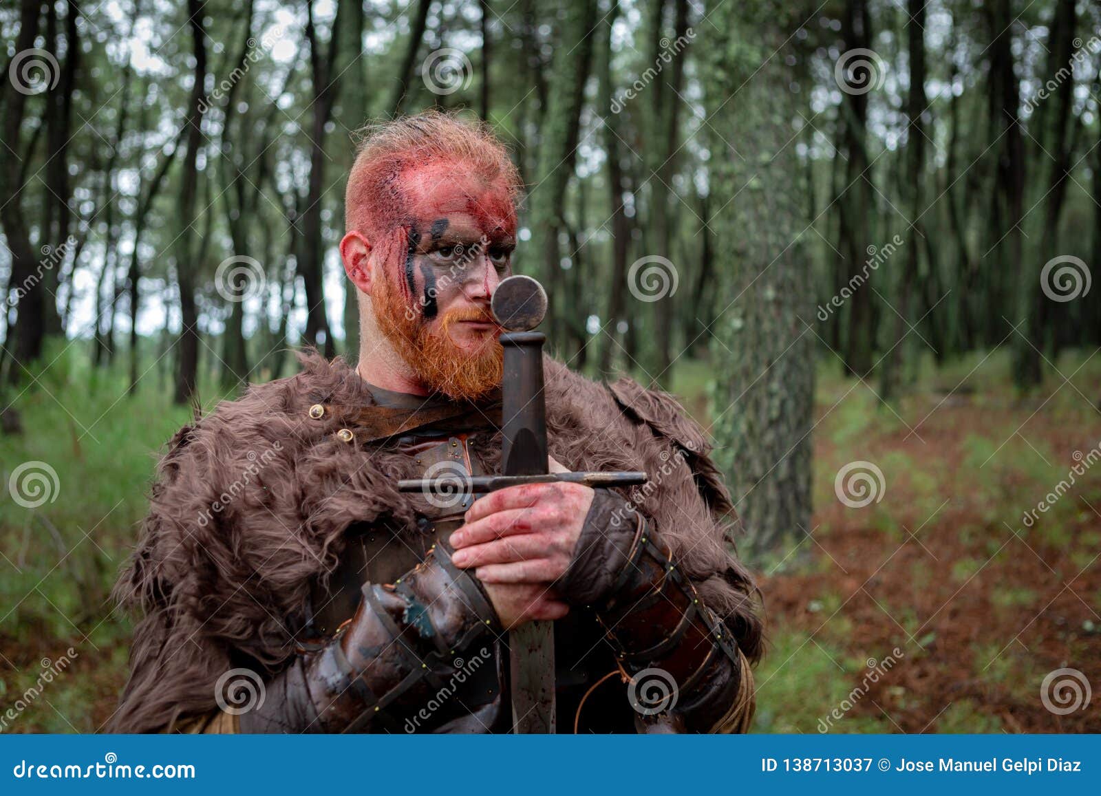 Real Viking with Many Trees Around Stock Image - Image of battle ...