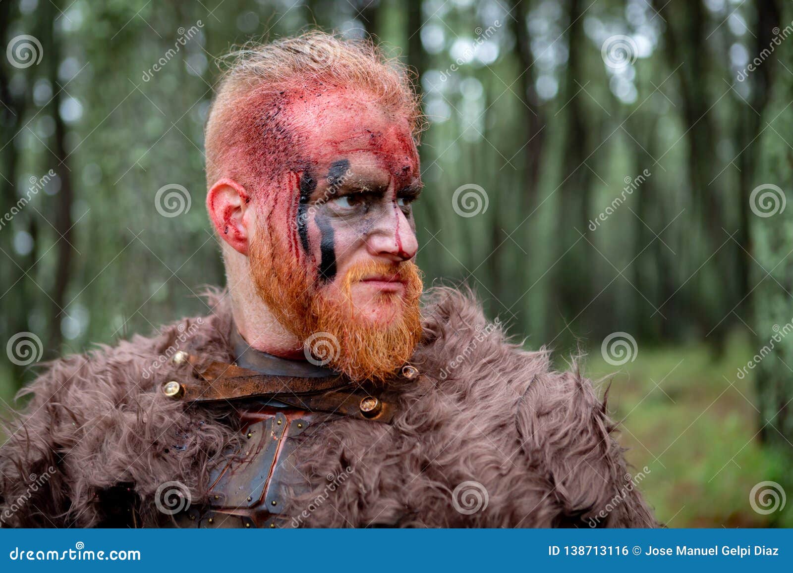 Real Viking with Many Trees Around Stock Photo - Image of expression ...