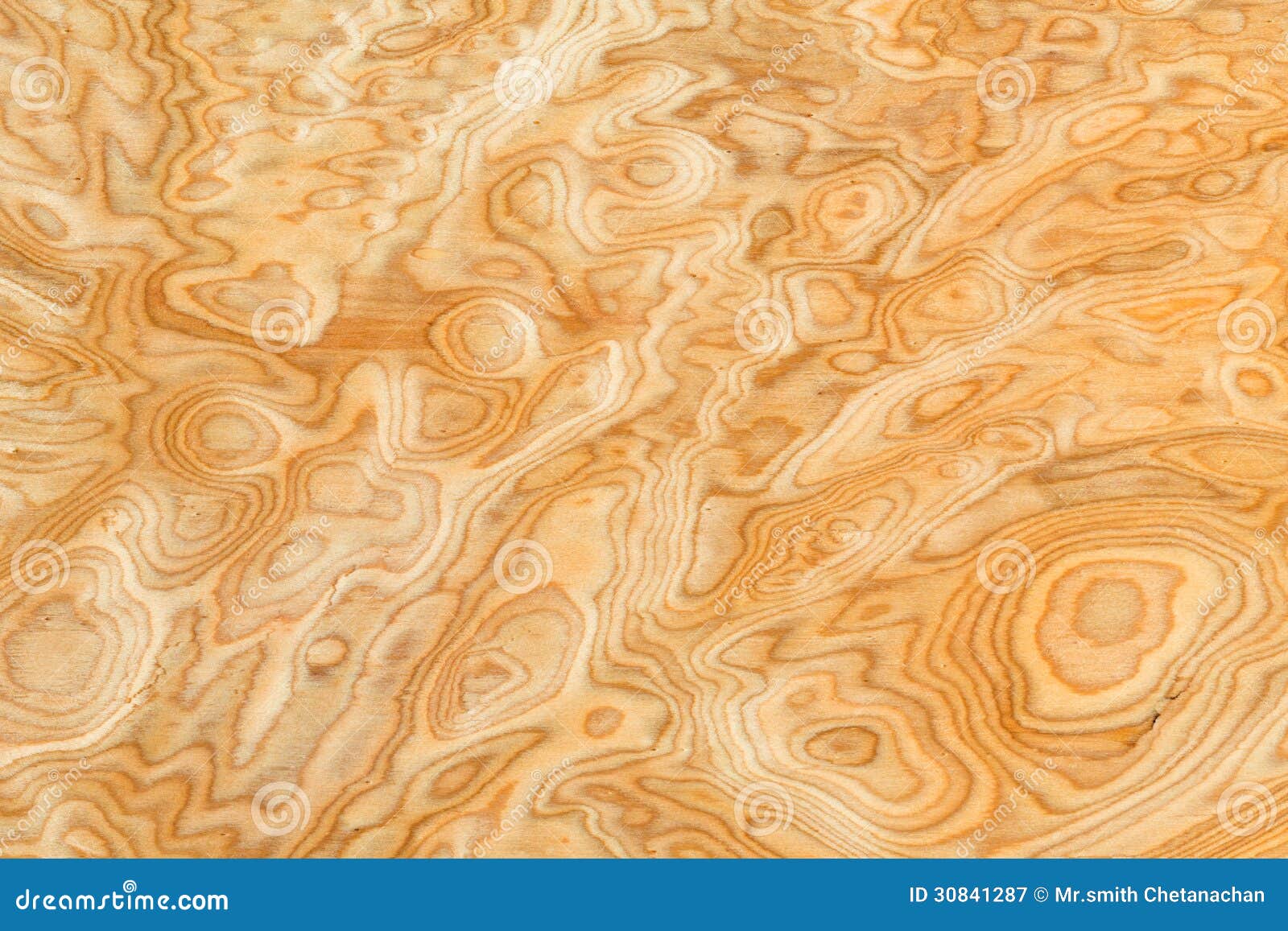 Burl Wood Grain Patterns