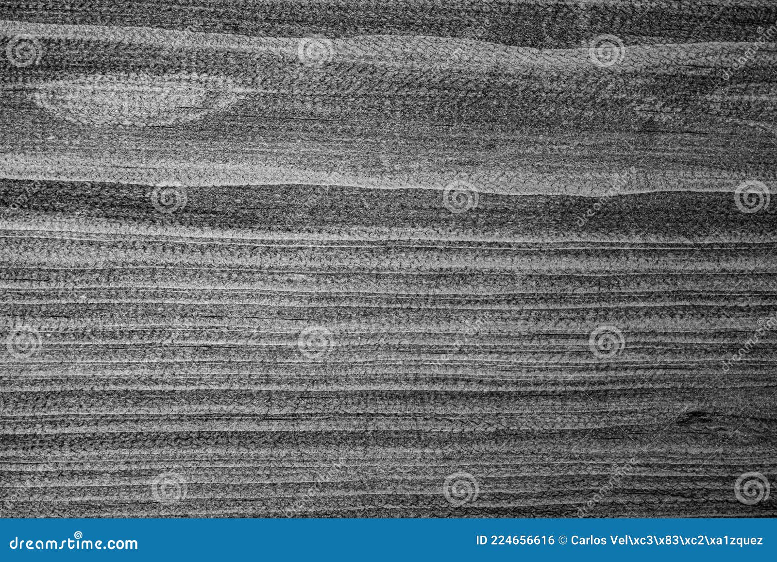Real Wood Grayscale Texture Stock Photo - Image of textured, light ...