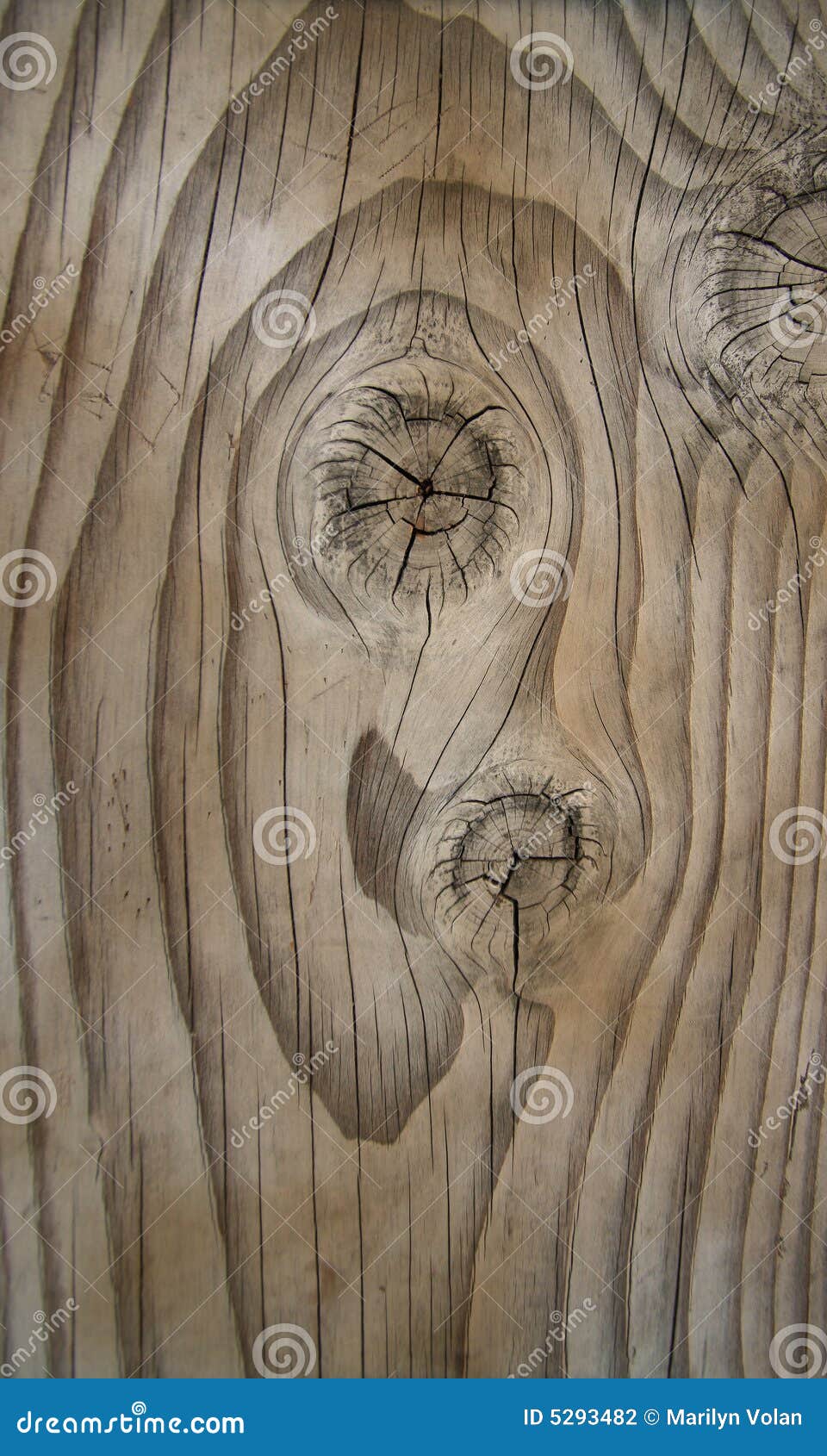 Real Wood Photograph stock photo. Image of construct, abstract - 5293482