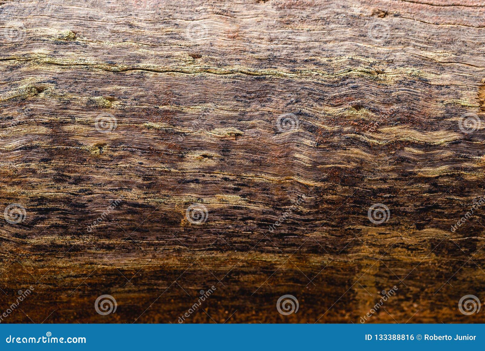 Real Wood Texture Image Background Stock Photo - Image of decorative ...