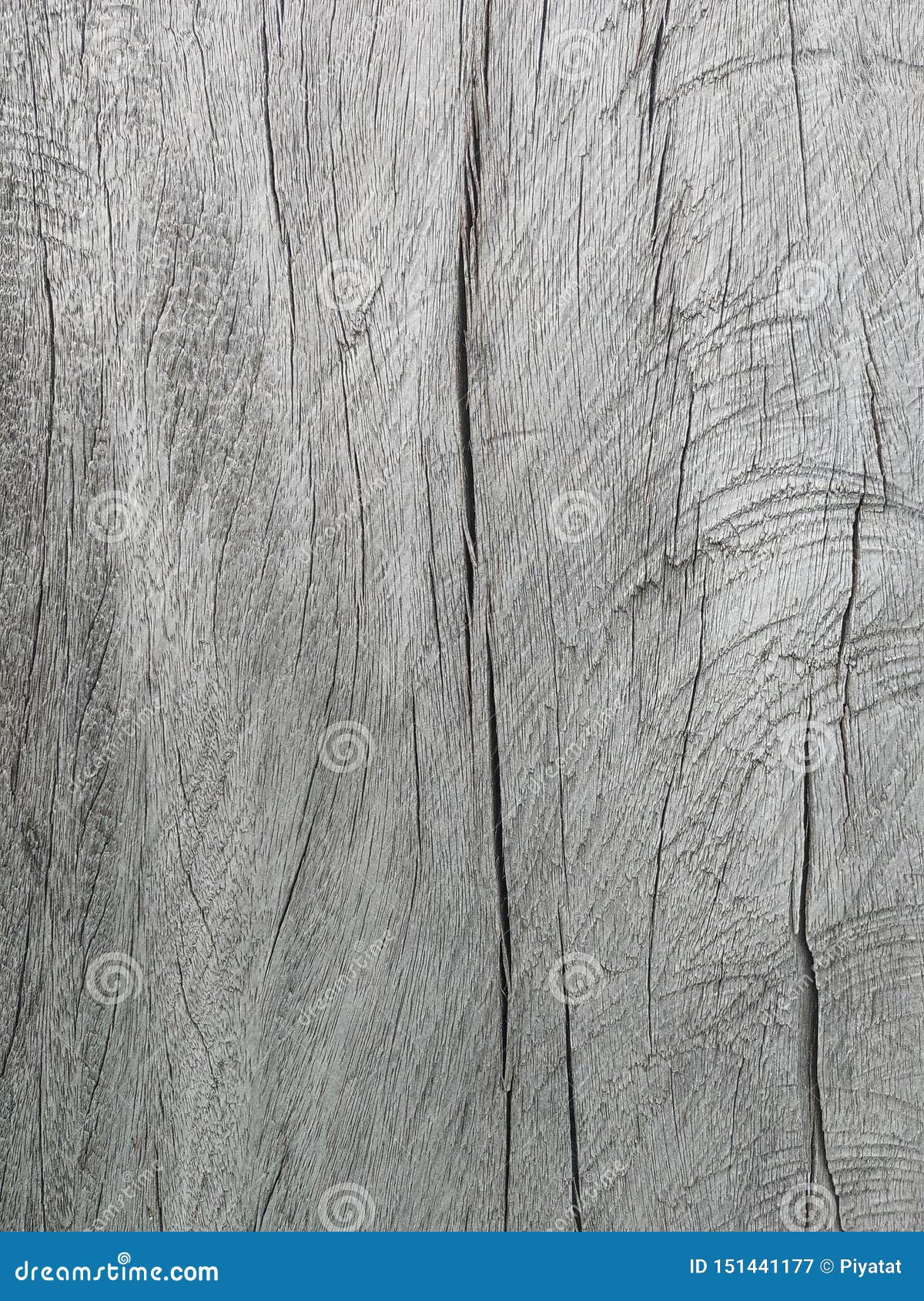 Real Wood Texture Pattern Used in Surface Work Stock Image - Image of ...