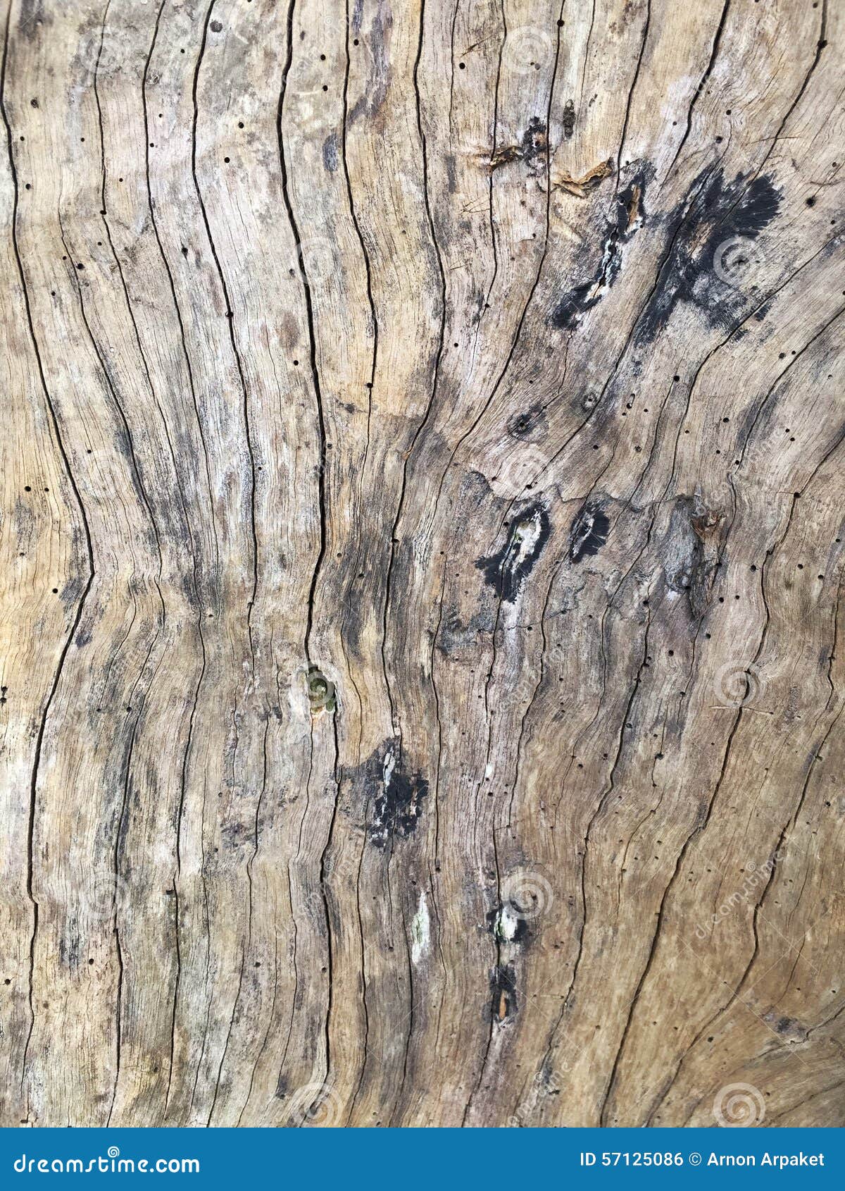 Real wooden texture stock photo. Image of real, background - 57125086