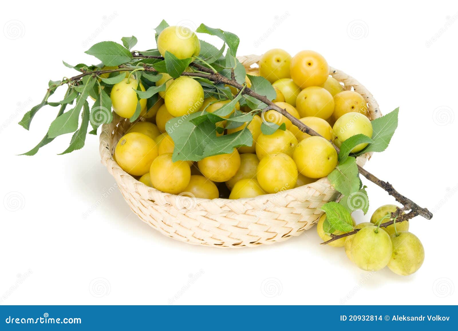 Real Yellow Plums in Basket Stock Photo - Image of plant, nature: 20932814