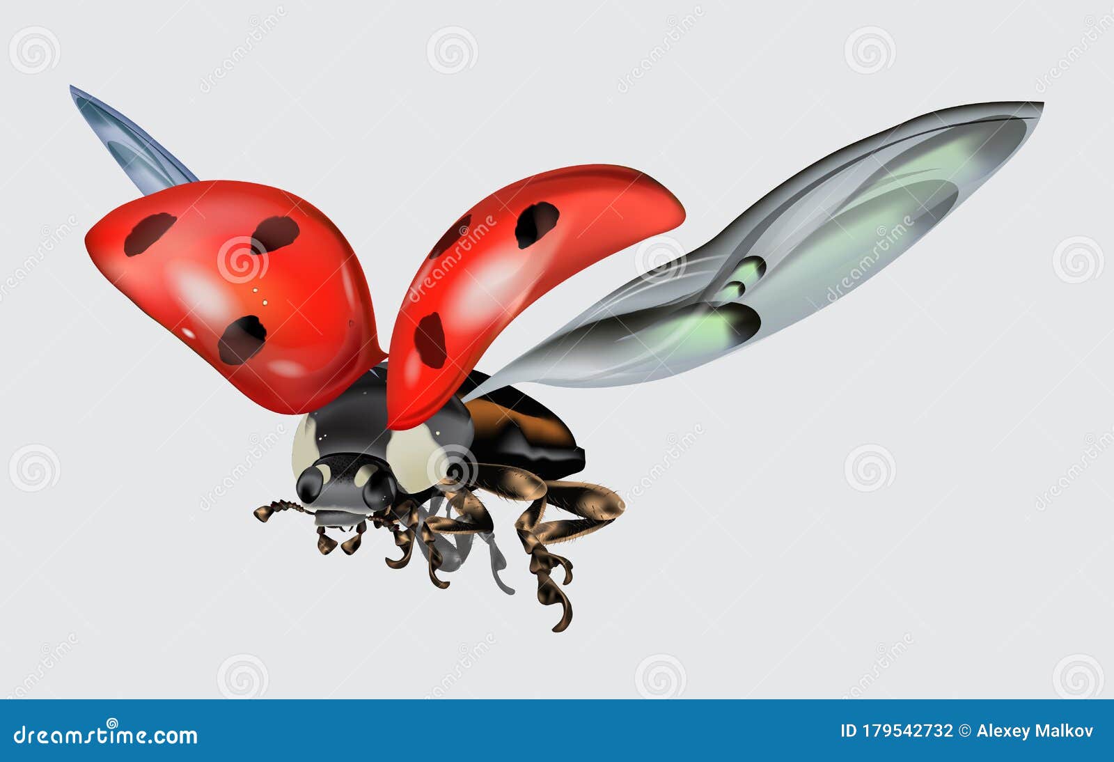 Real Ladybugs Flying