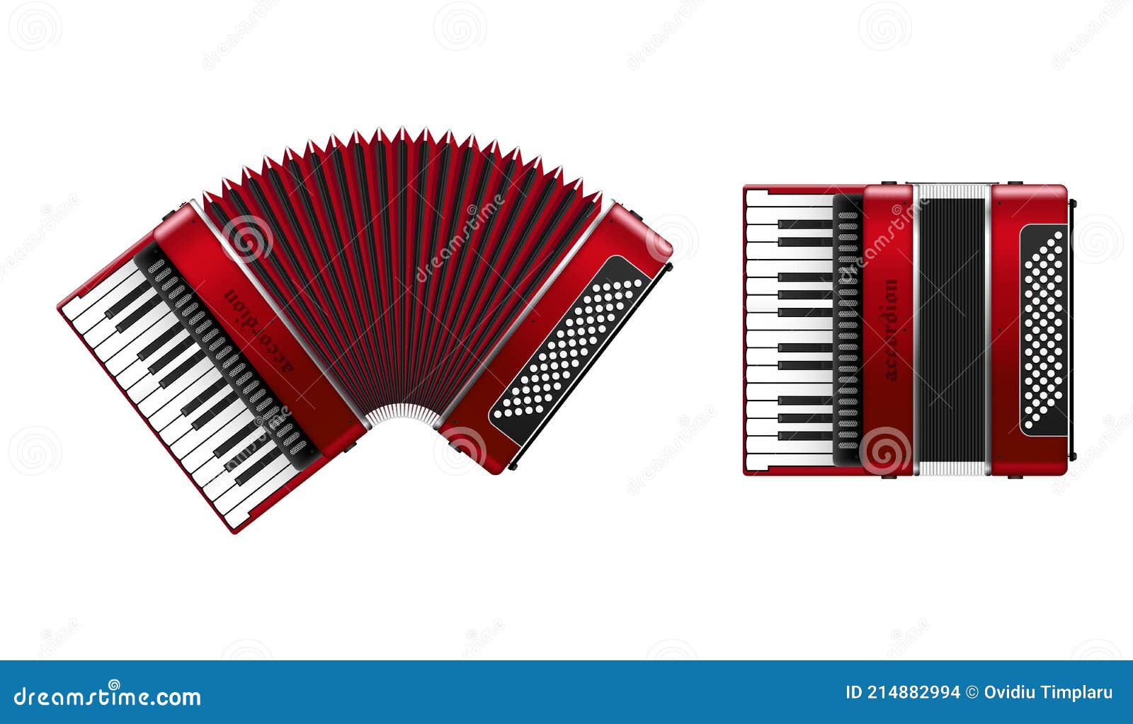 Realistic Accordion Vector Illustration Isolated On White Background ...