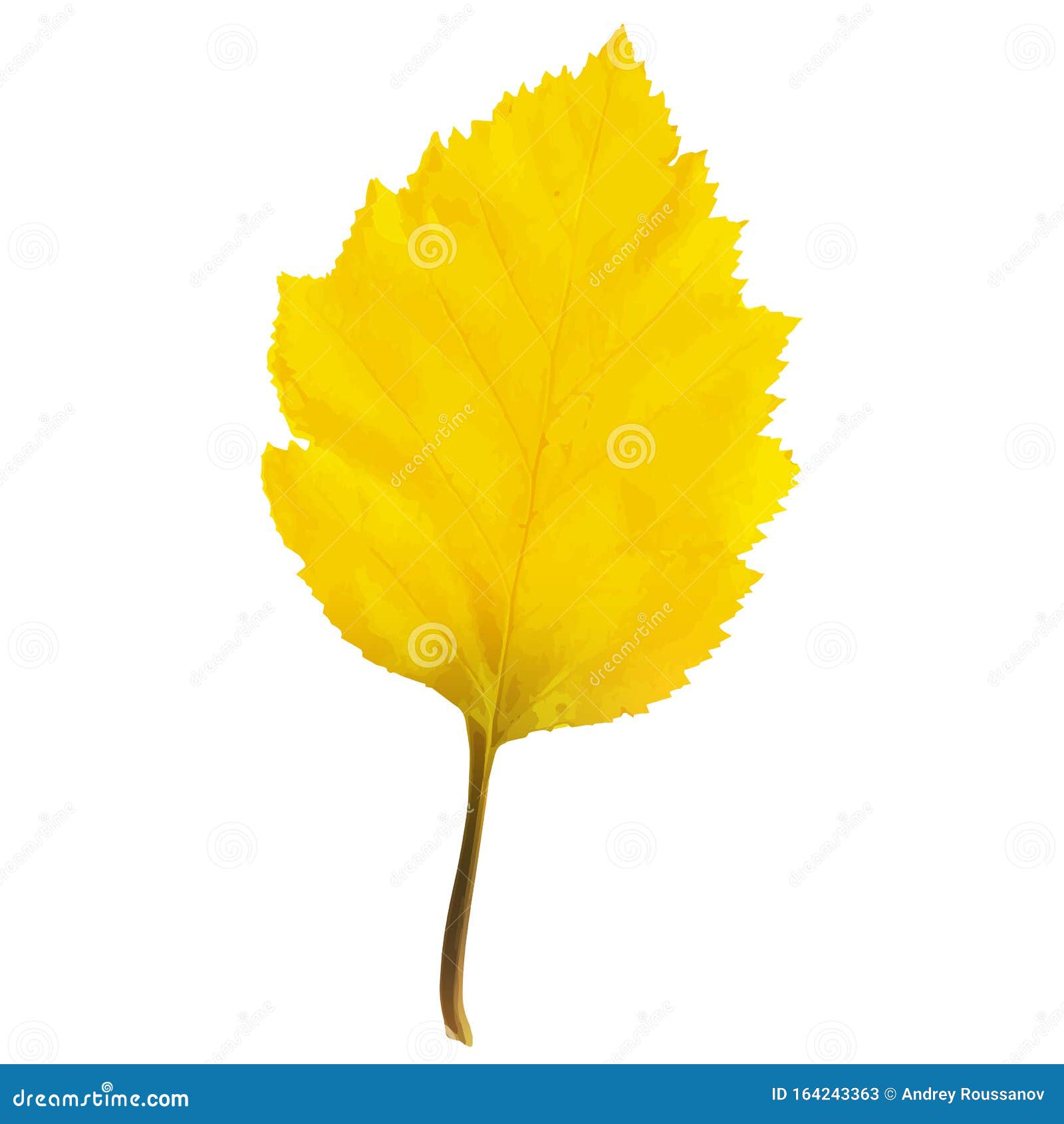 Realistic Alder Tree Leaves In Changing Fall Colors. Vector ...