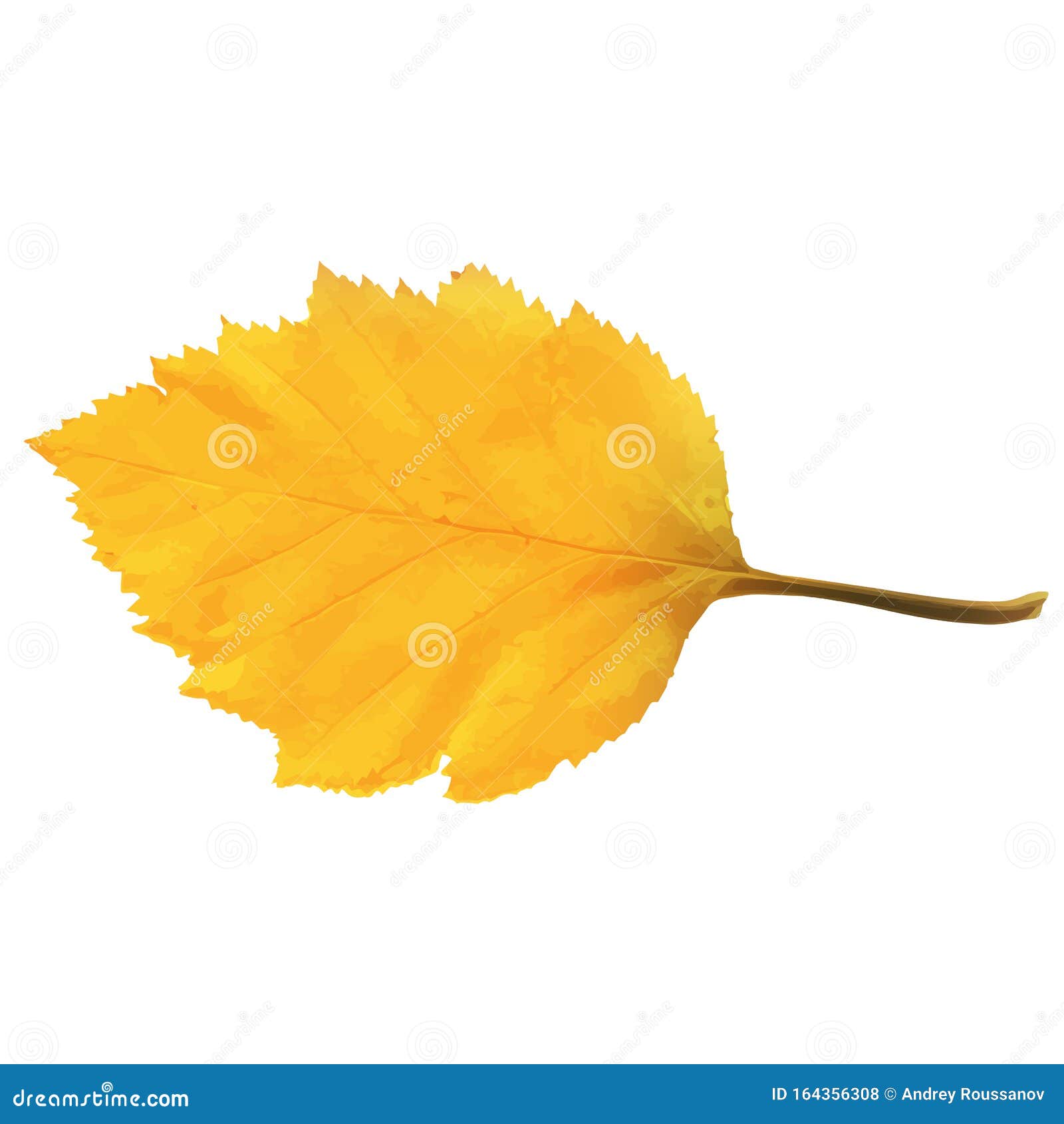 Realistic Alder Tree Leaf in Changing Fall Colors. Stock Vector ...