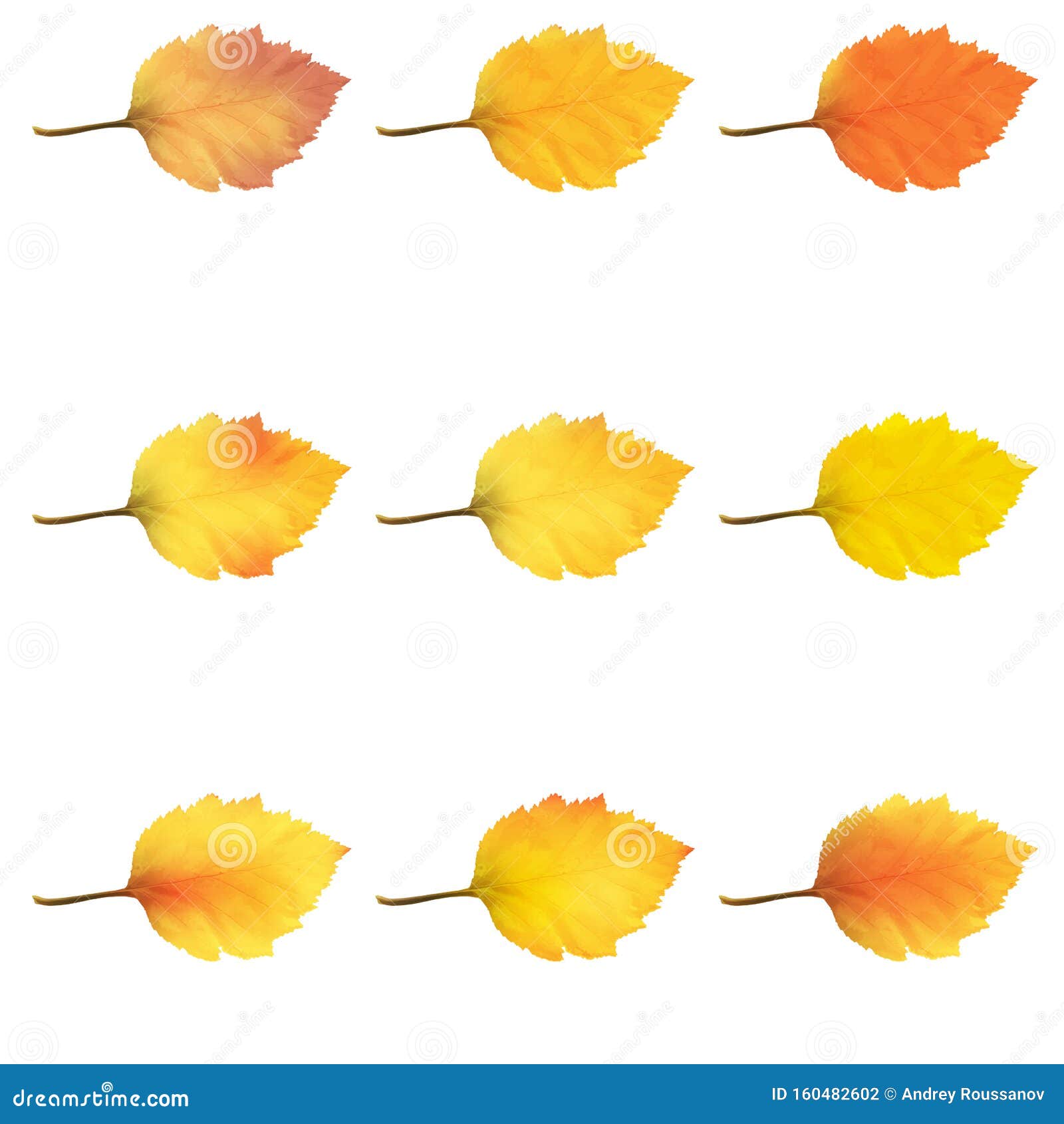 Realistic Alder Tree Leaves in Changing Fall Colors. Stock Vector ...