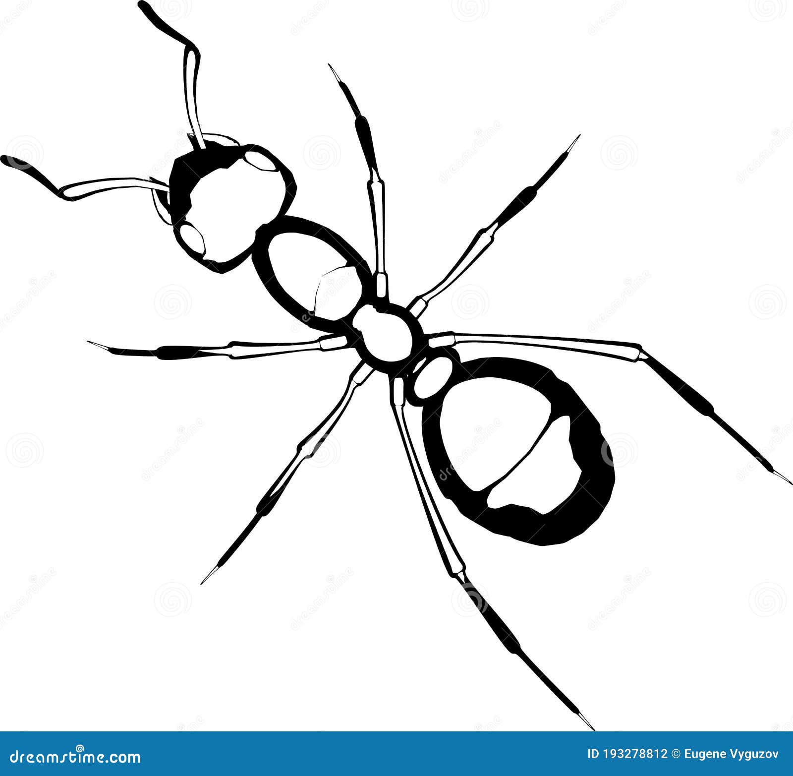 Realistic Ant Vector on White Background Stock Vector - Illustration of ...