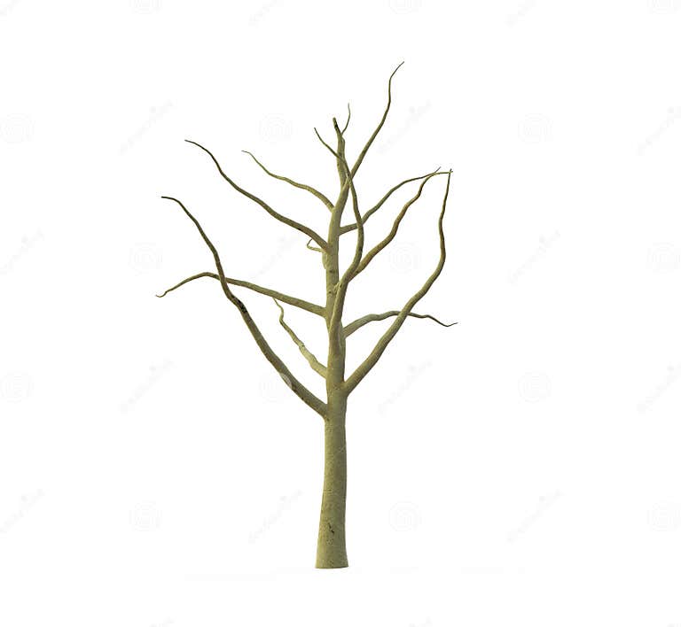 Realistic Apple Tree Full of Leaves Isolated on a White. 3d Render ...