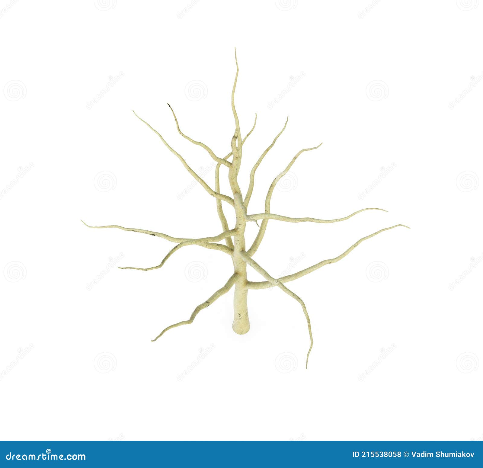 Realistic Apple Tree Full of Leaves Isolated on a White. 3d Render ...