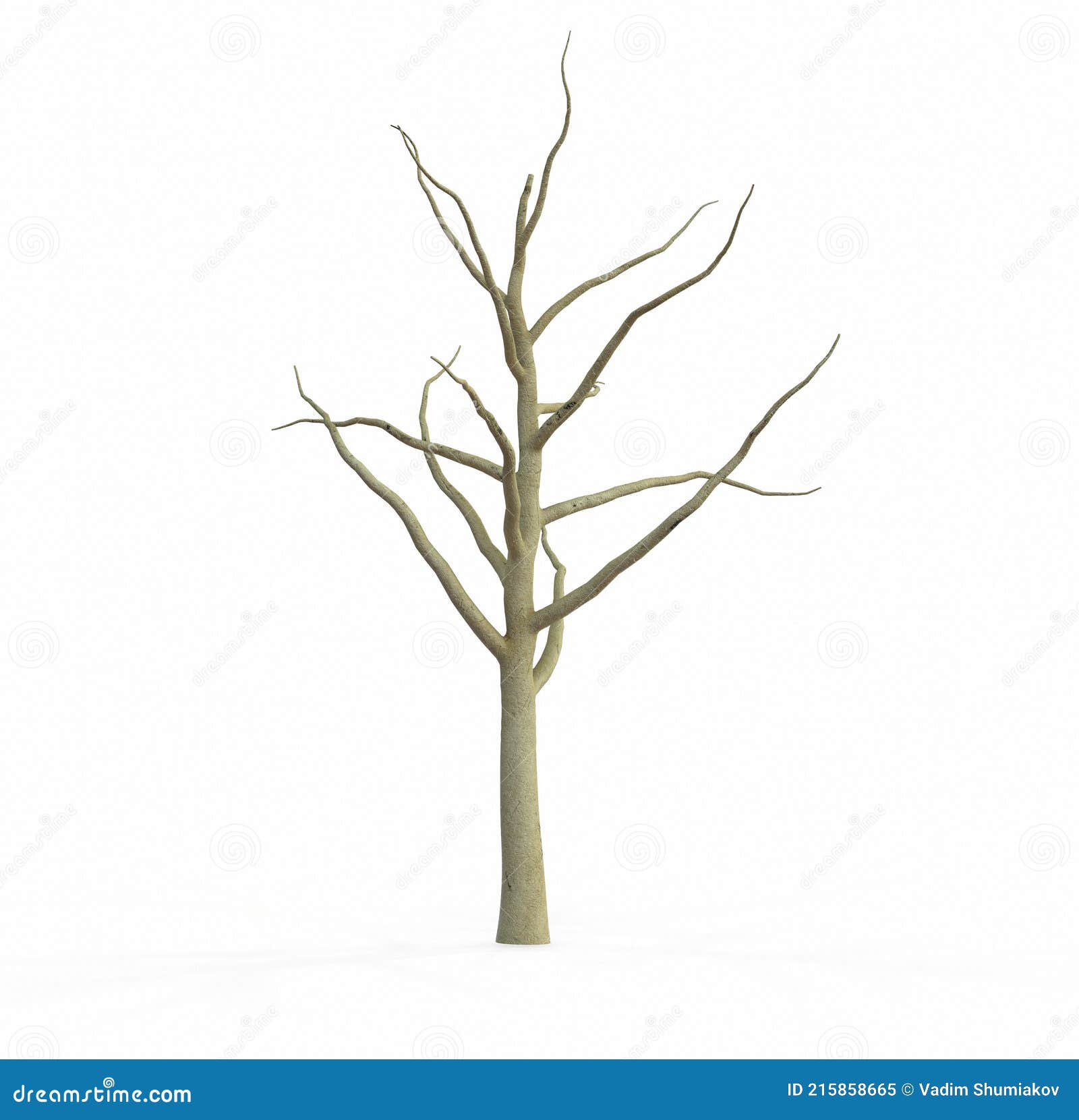 Realistic Apple Tree Full of Leaves Isolated on a White. 3d Render ...